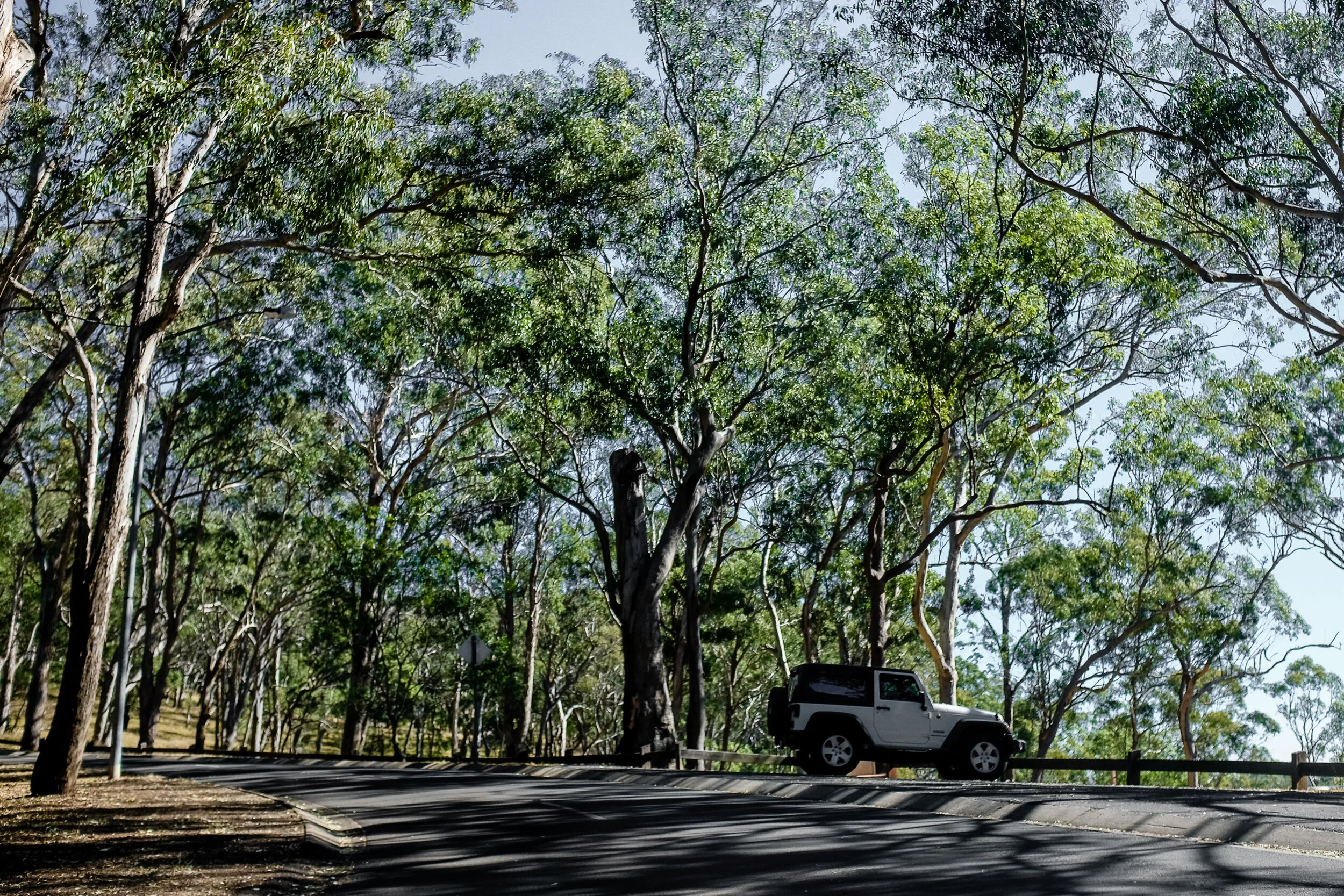 Our Favourite Picnic Spots in Toowoomba — The Field Guide
