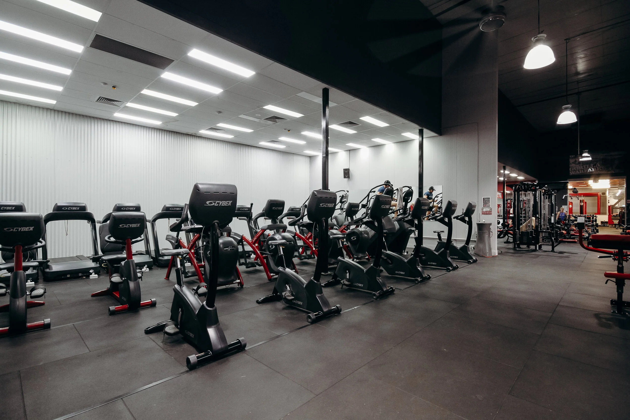 World Gym — The Field Guide