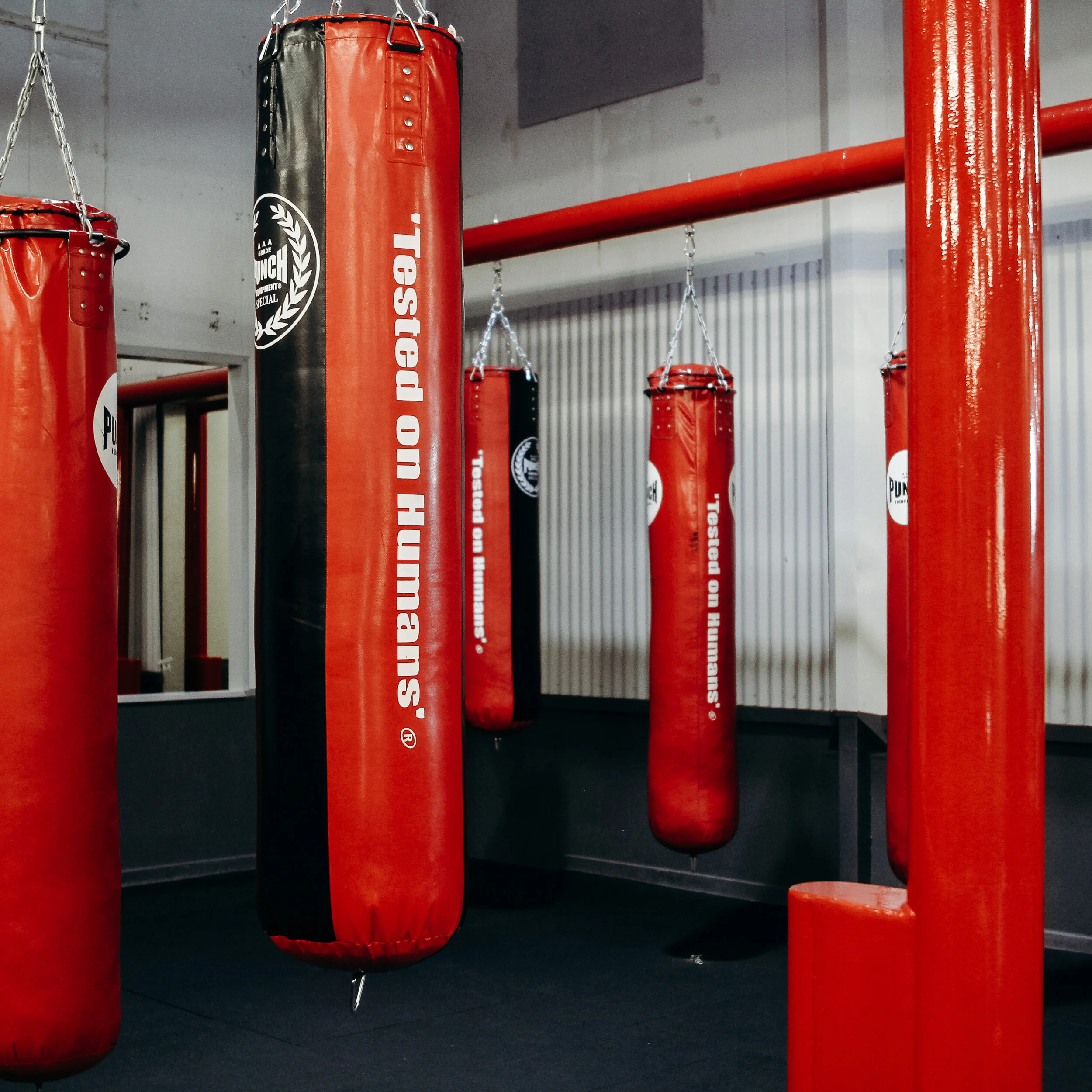 World Gym — The Field Guide