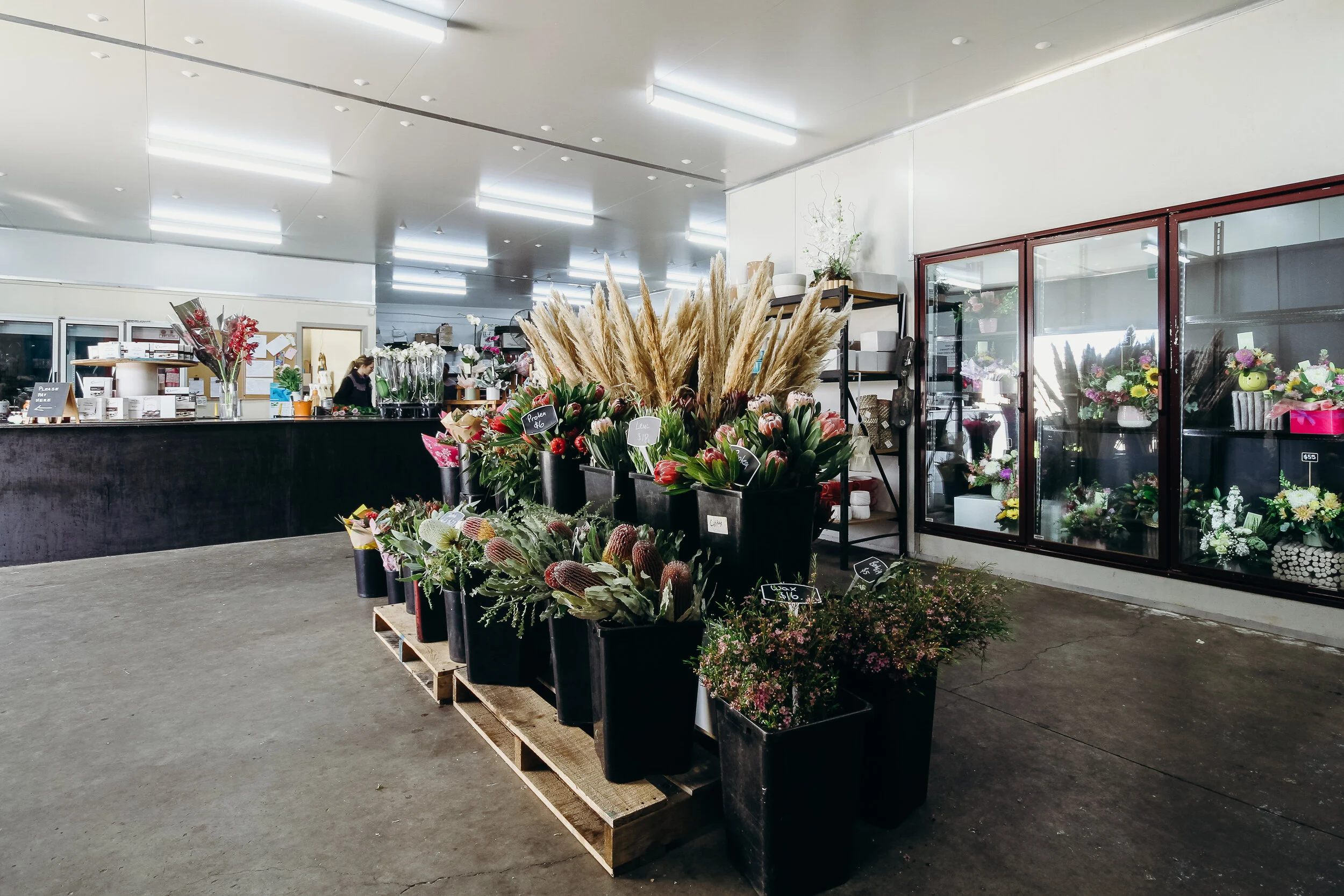 Toowoomba Flower Market — The Field Guide