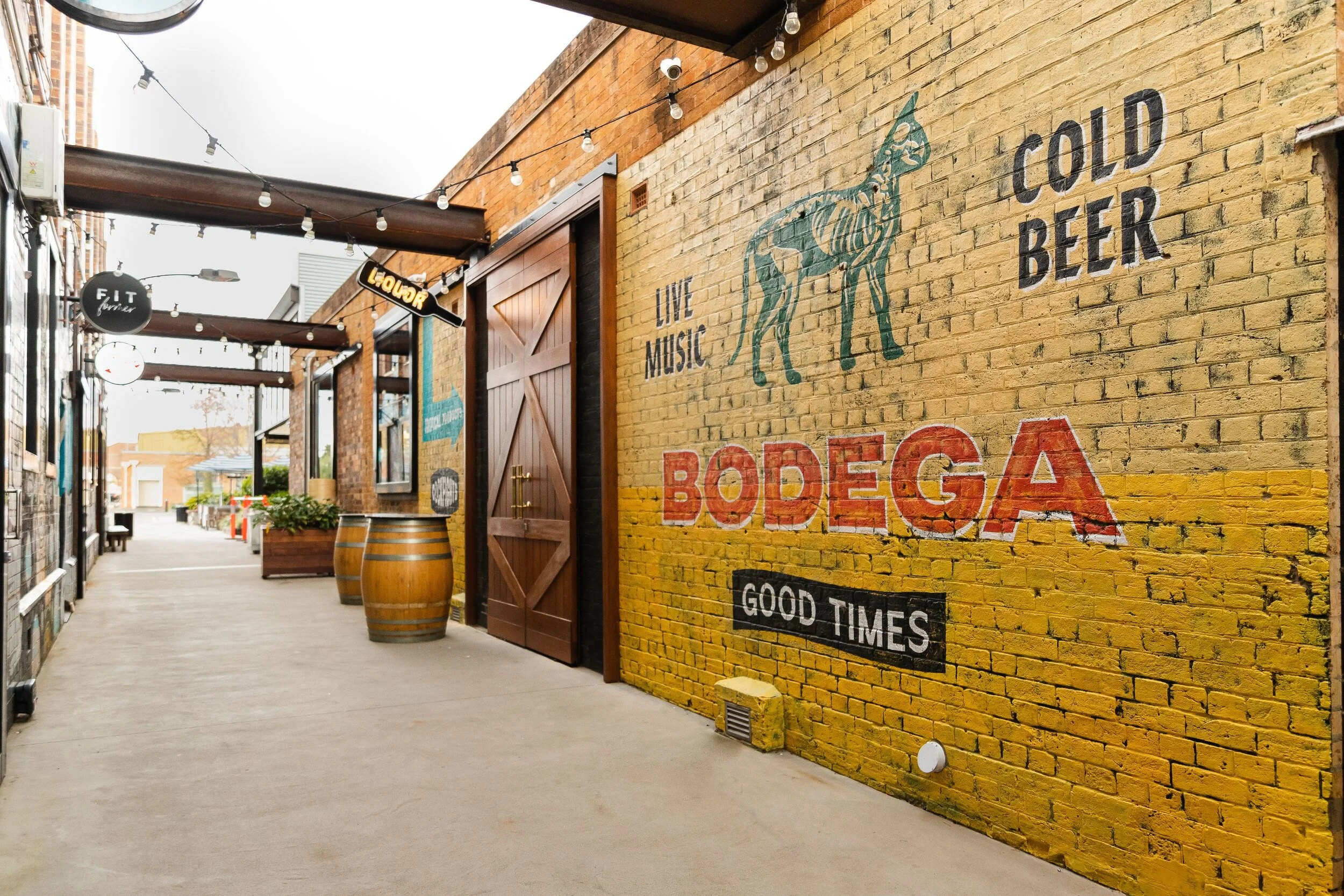 Bodega — The Field Guide