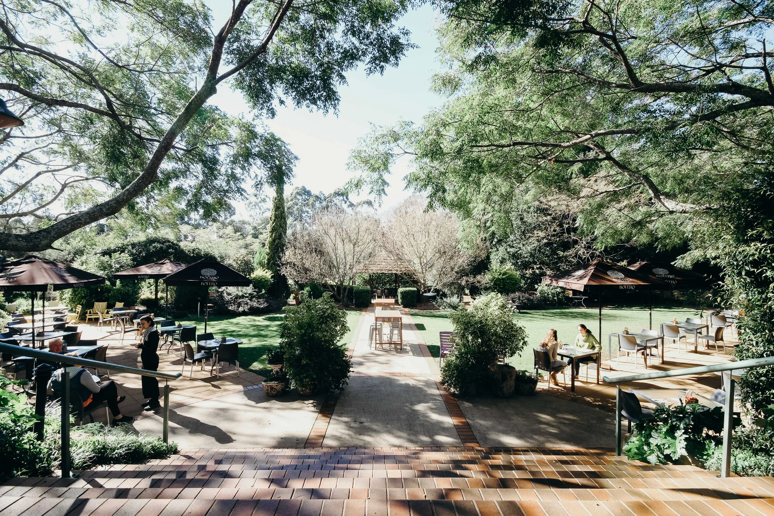 Ask TFG: Late afternoon coffees — The Field Guide