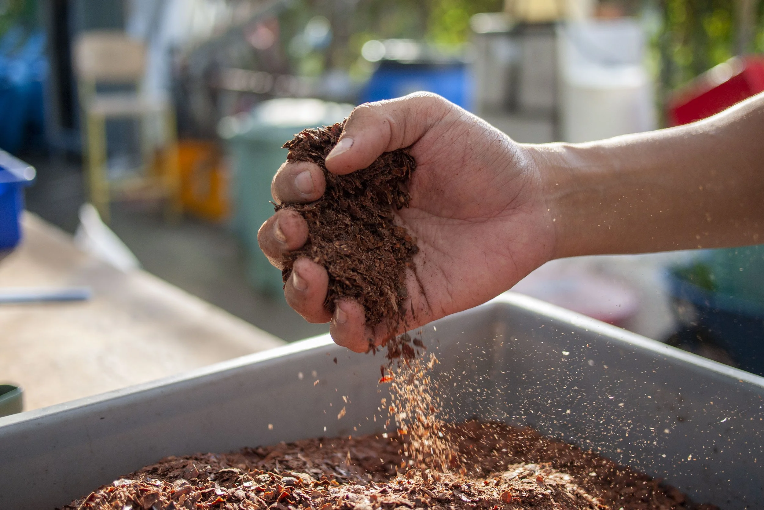 SUSTAINABILITY — Fossa Chocolate