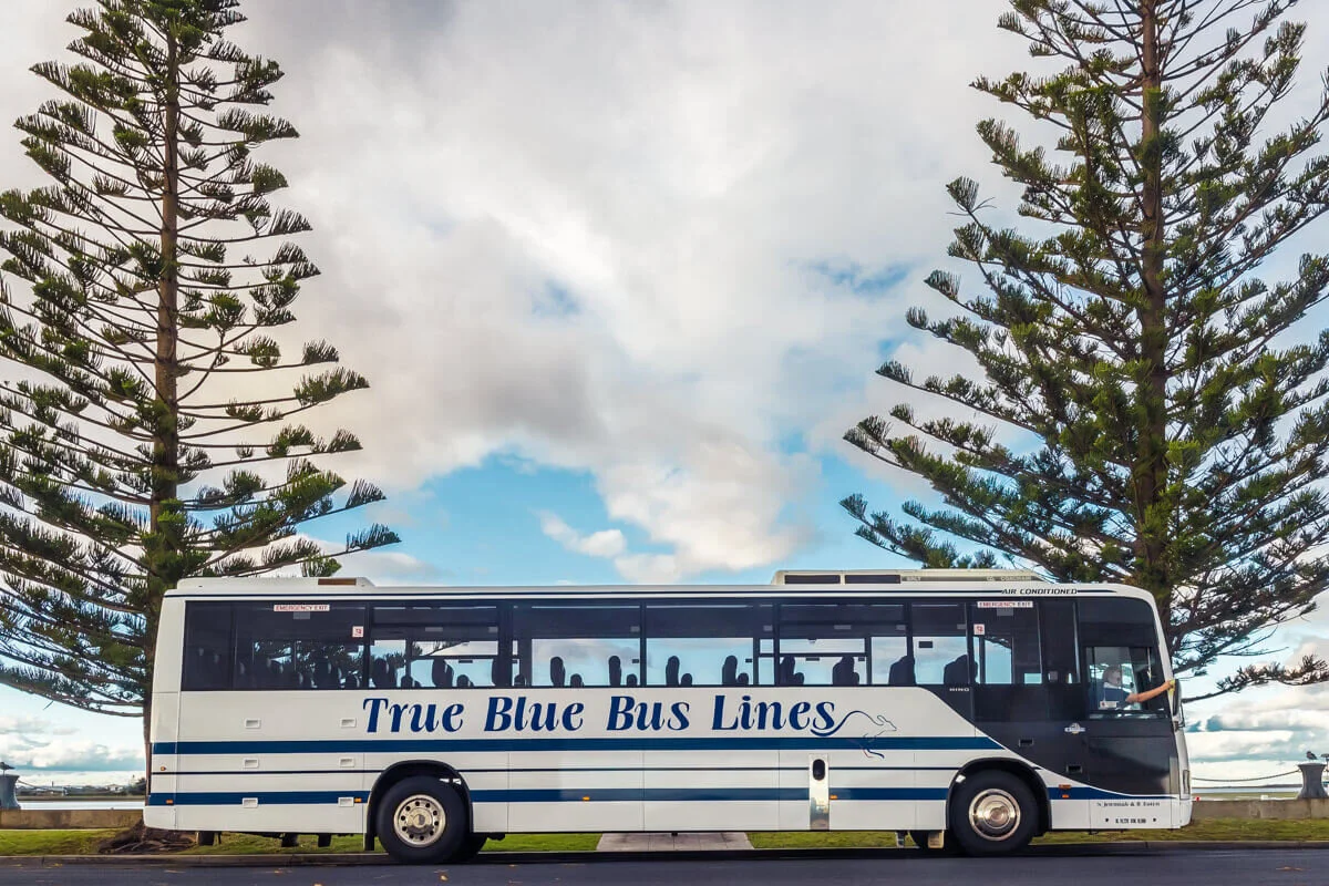 Tours — True Blue Bus Lines