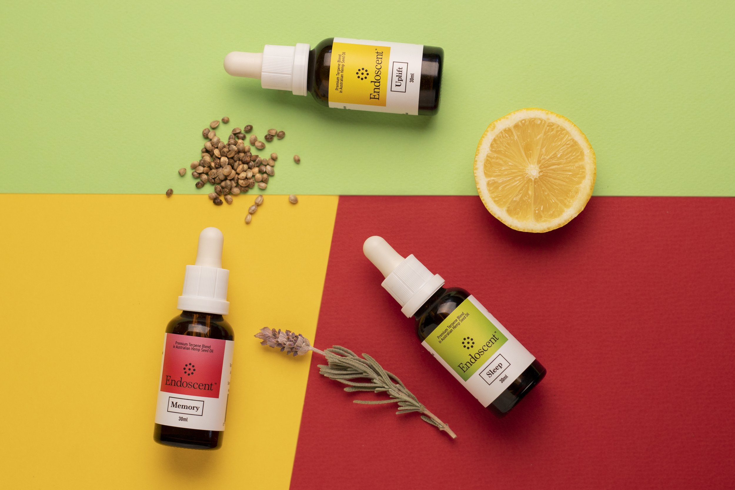 Welcome [www.lilypillyflowers.com]