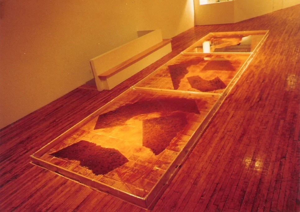 Art in America — Ching Ho Cheng