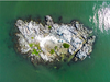 Phil Buehler, "No Man is an Island" — FRONT ROOM GALLERY