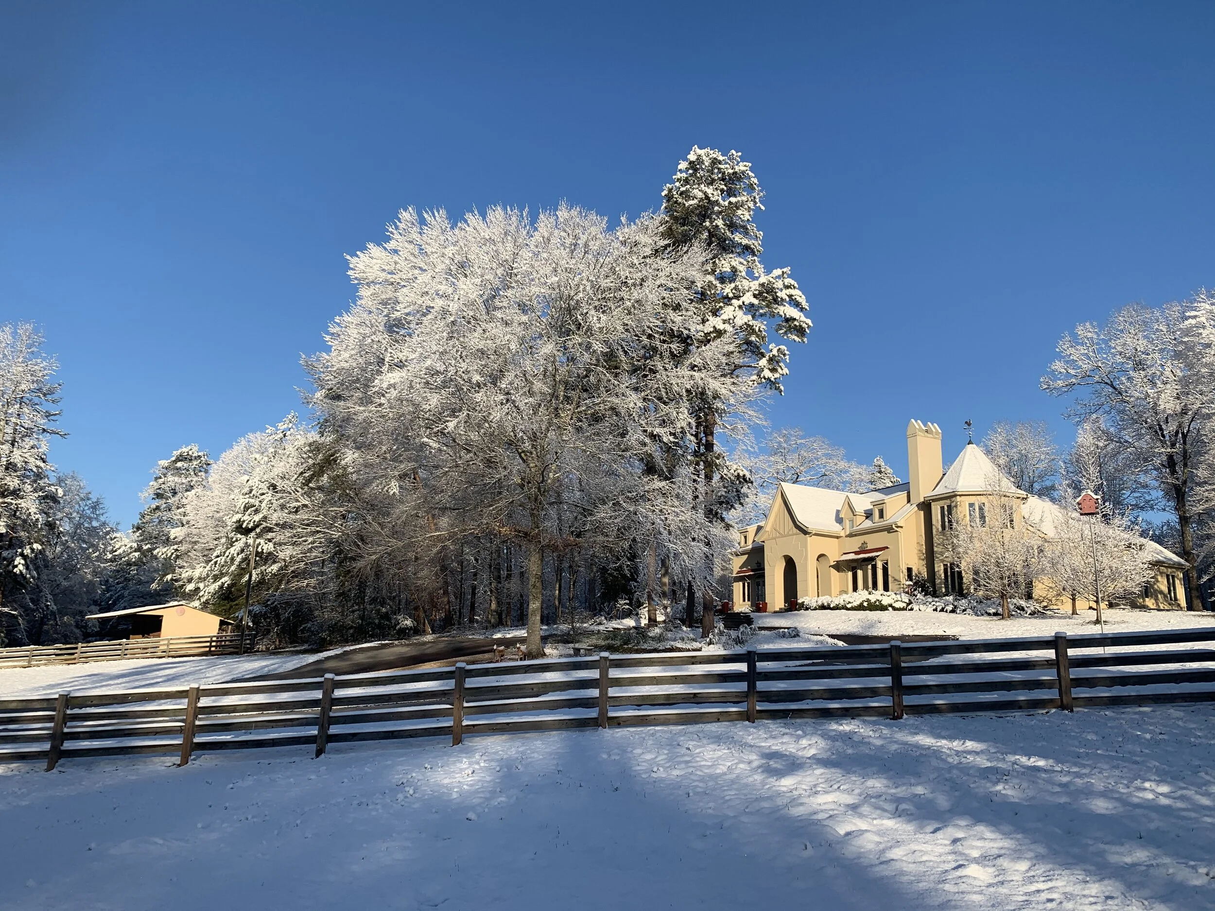 AROUND THE FARM — DRAGONFLY FARM