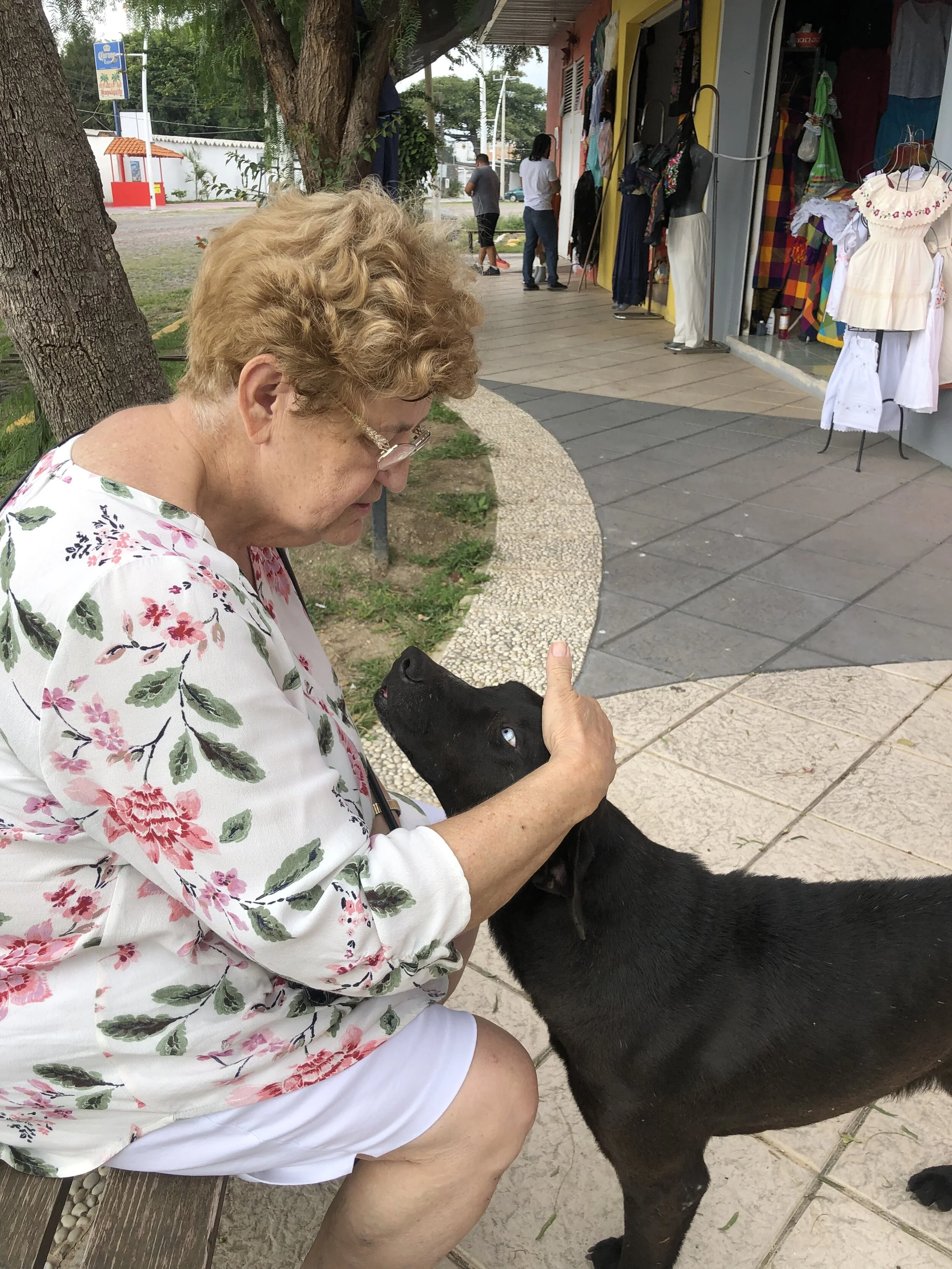 BAPBR — MexiMutt