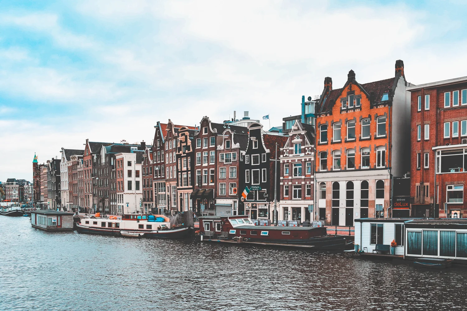 Expat Chronicles: Getting to know the Dutch — Stitched in Color