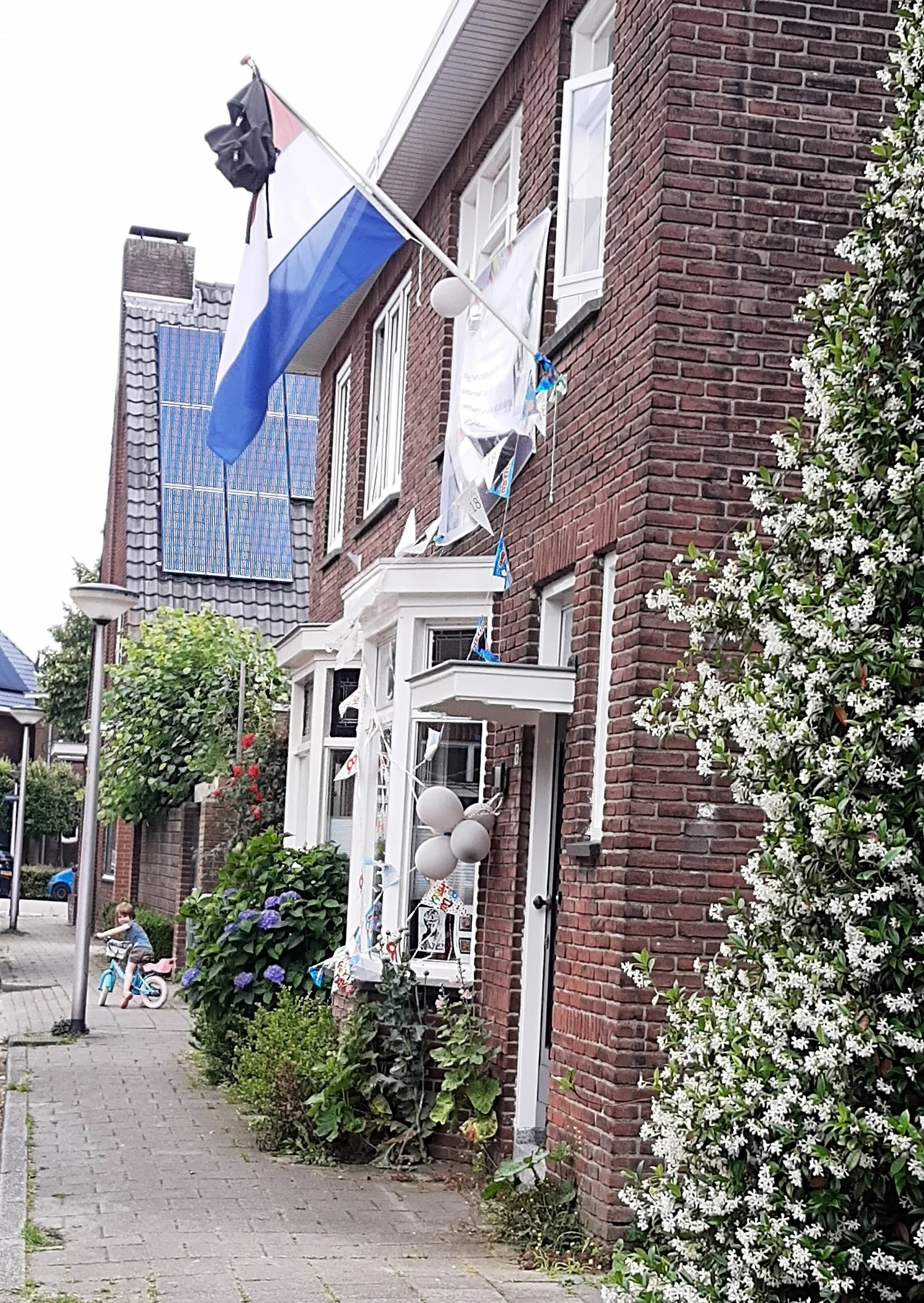 Expat Chronicles: Finals + Graduation in The Netherlands — Stitched in ...