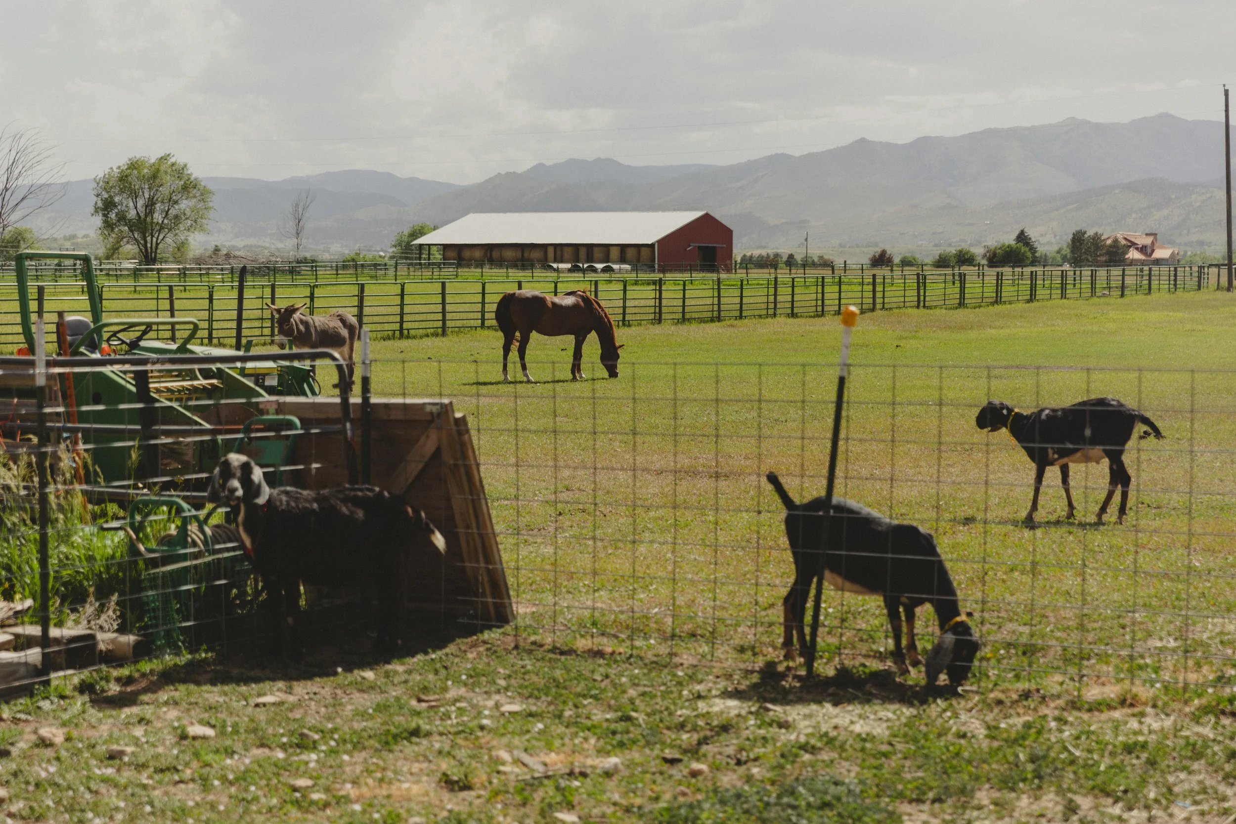 Visit Longmont — Big Heart Film