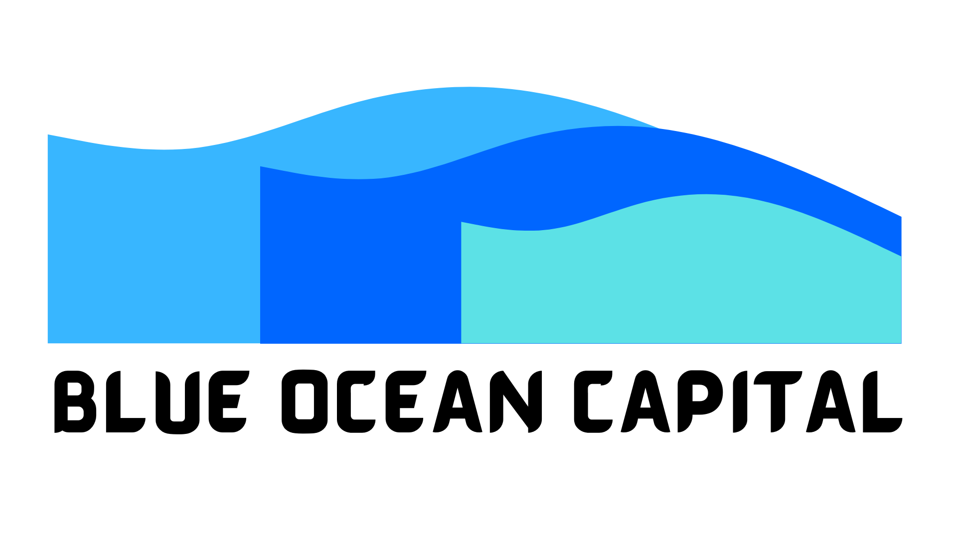 Blue Ocean Capital Partners