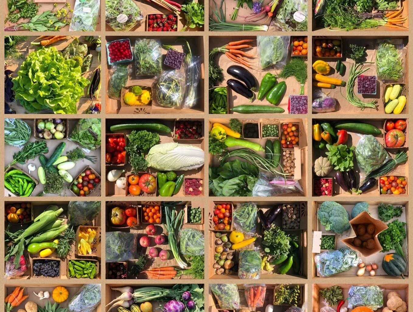 CSA — Arbor Farmstead