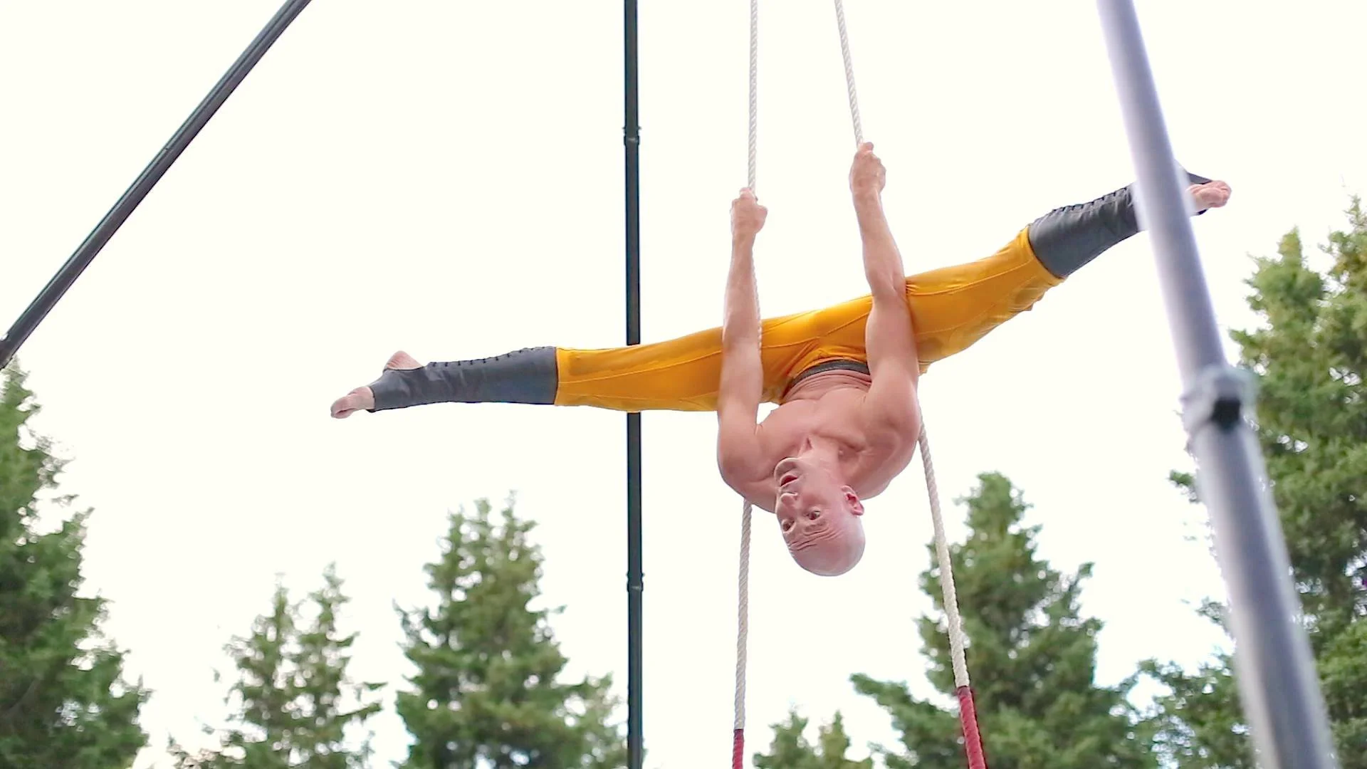 Yves — Agence Thaly