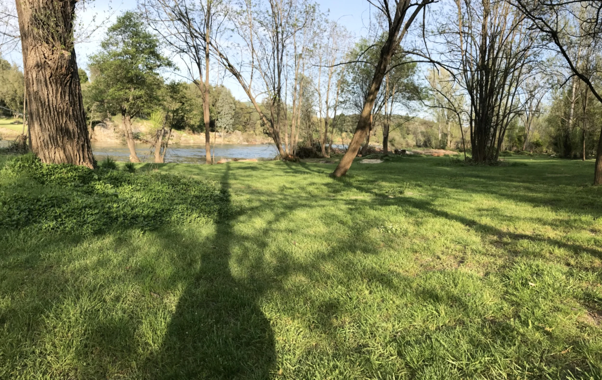 Gallery — Camp Lotus