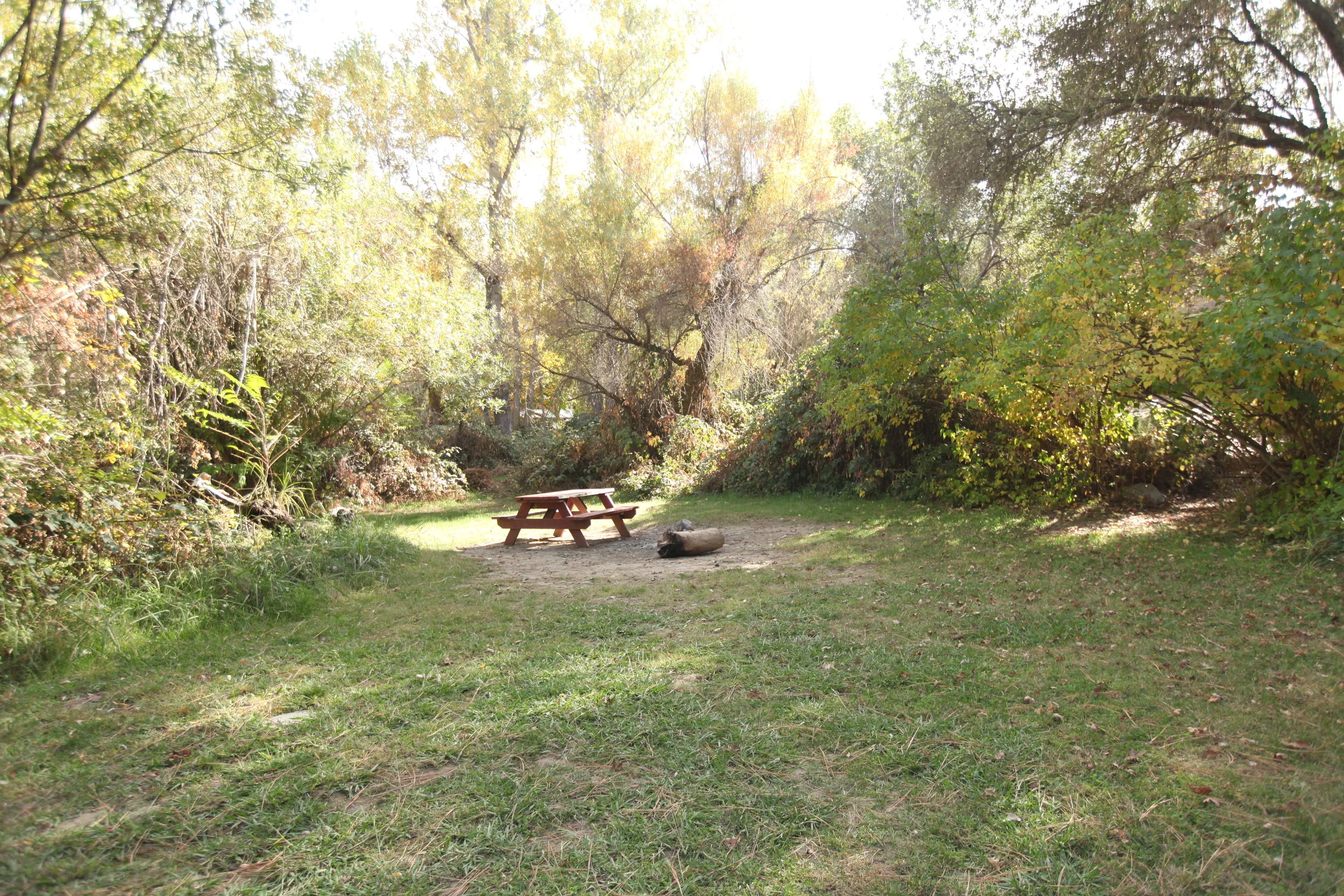 Gallery — Camp Lotus