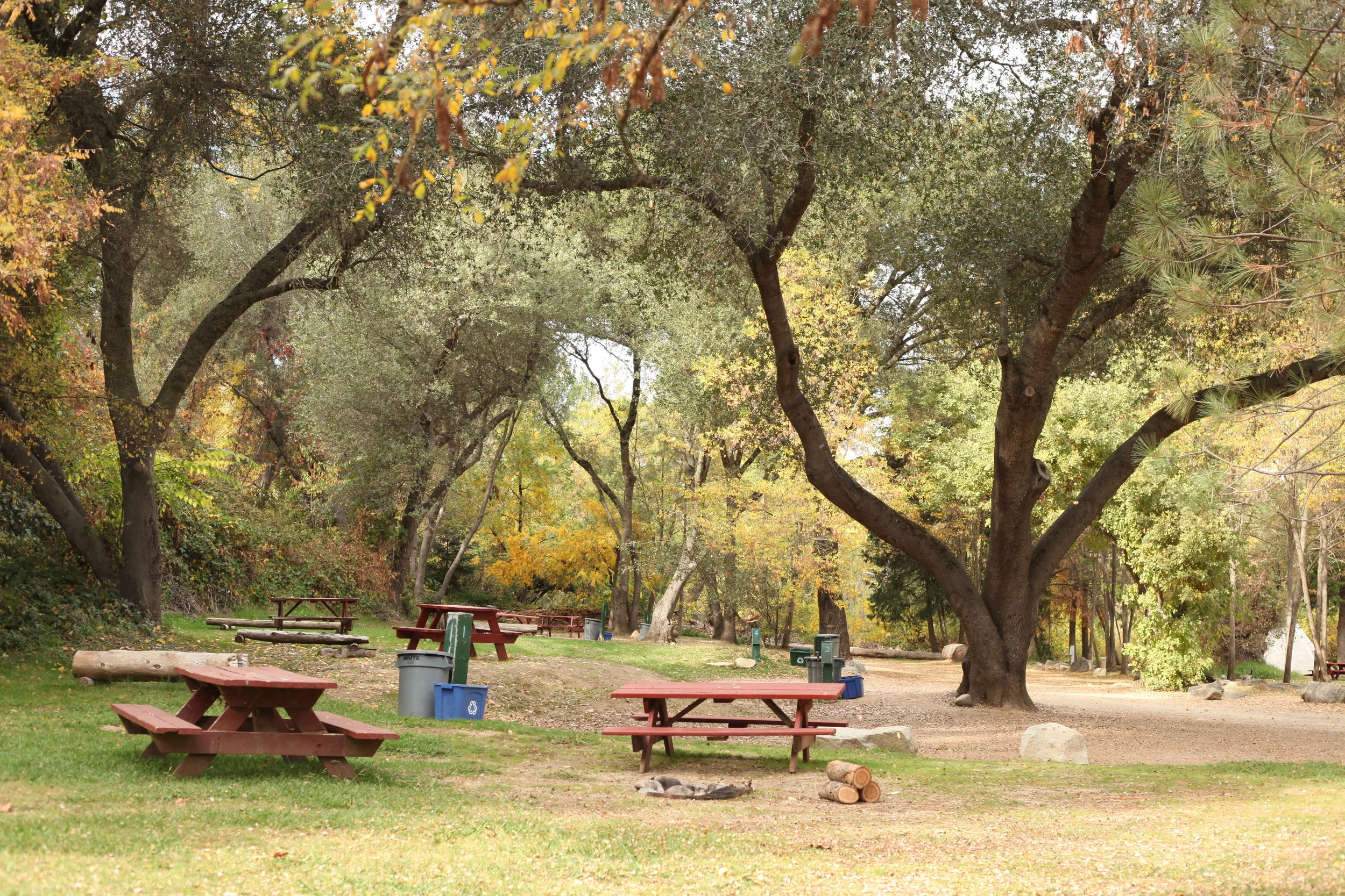 Gallery — Camp Lotus