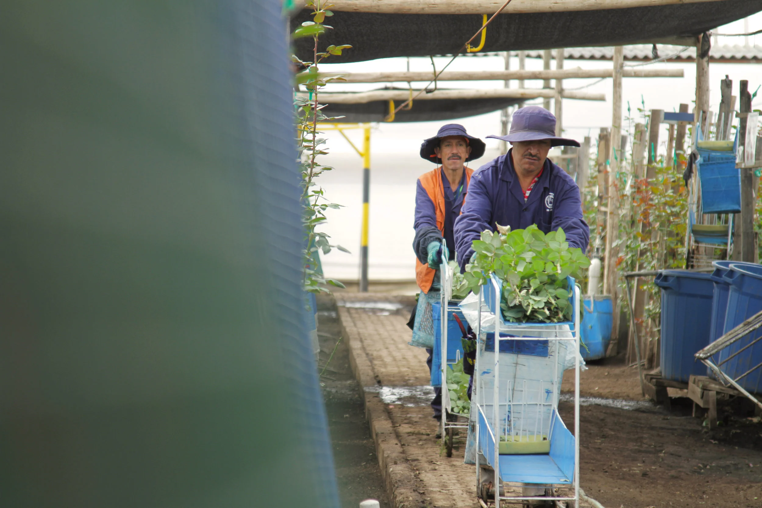 Our Farms — Grupo Andes