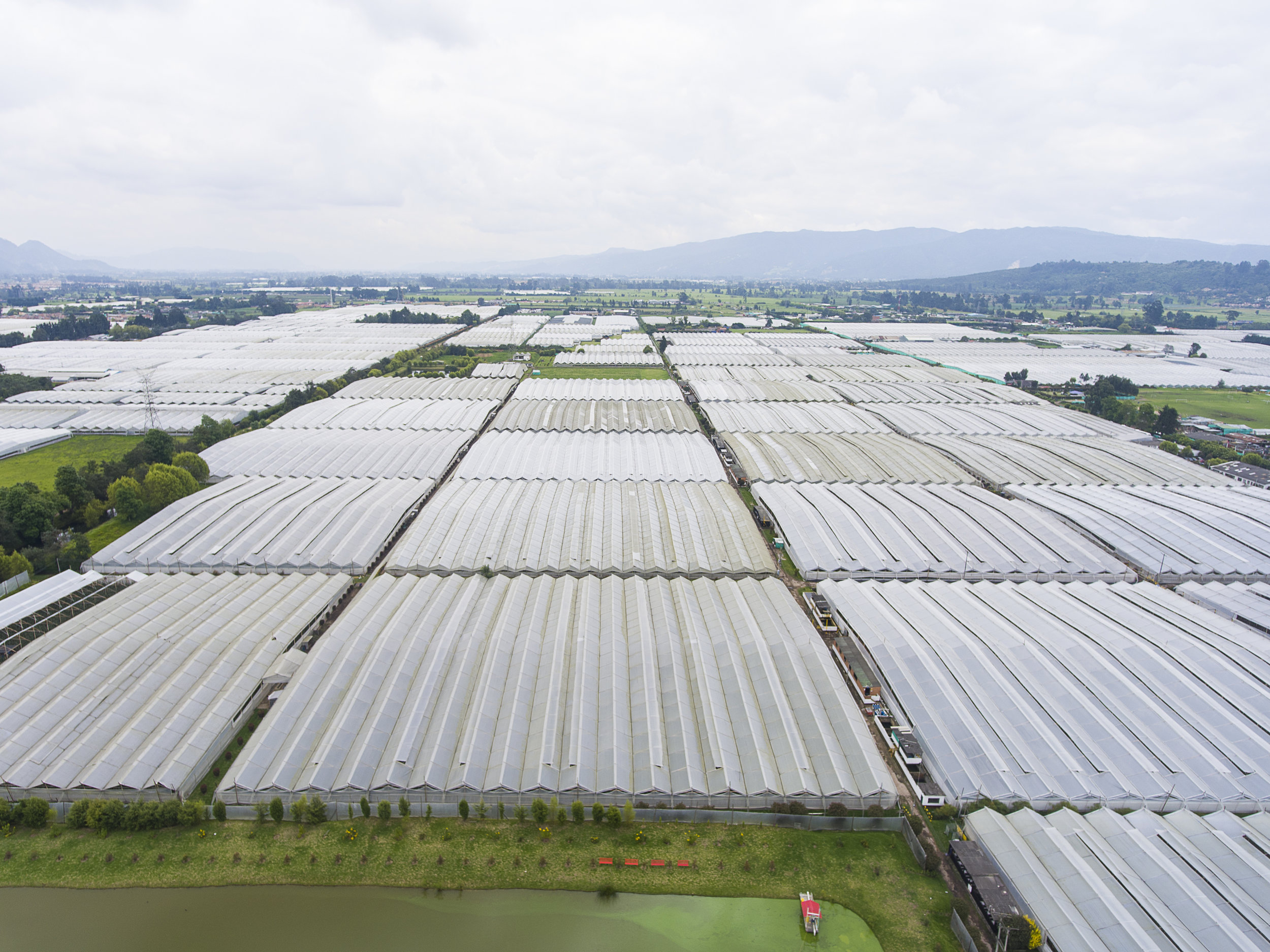 Our Farms — Grupo Andes