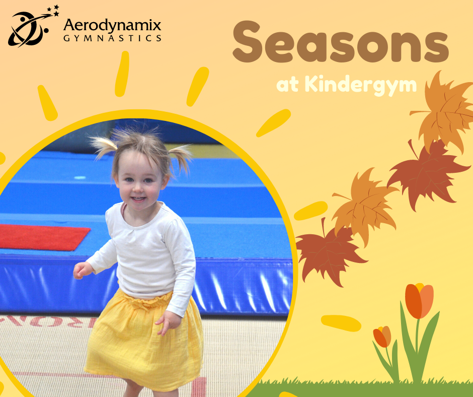 Aerodynamix Gymnastics