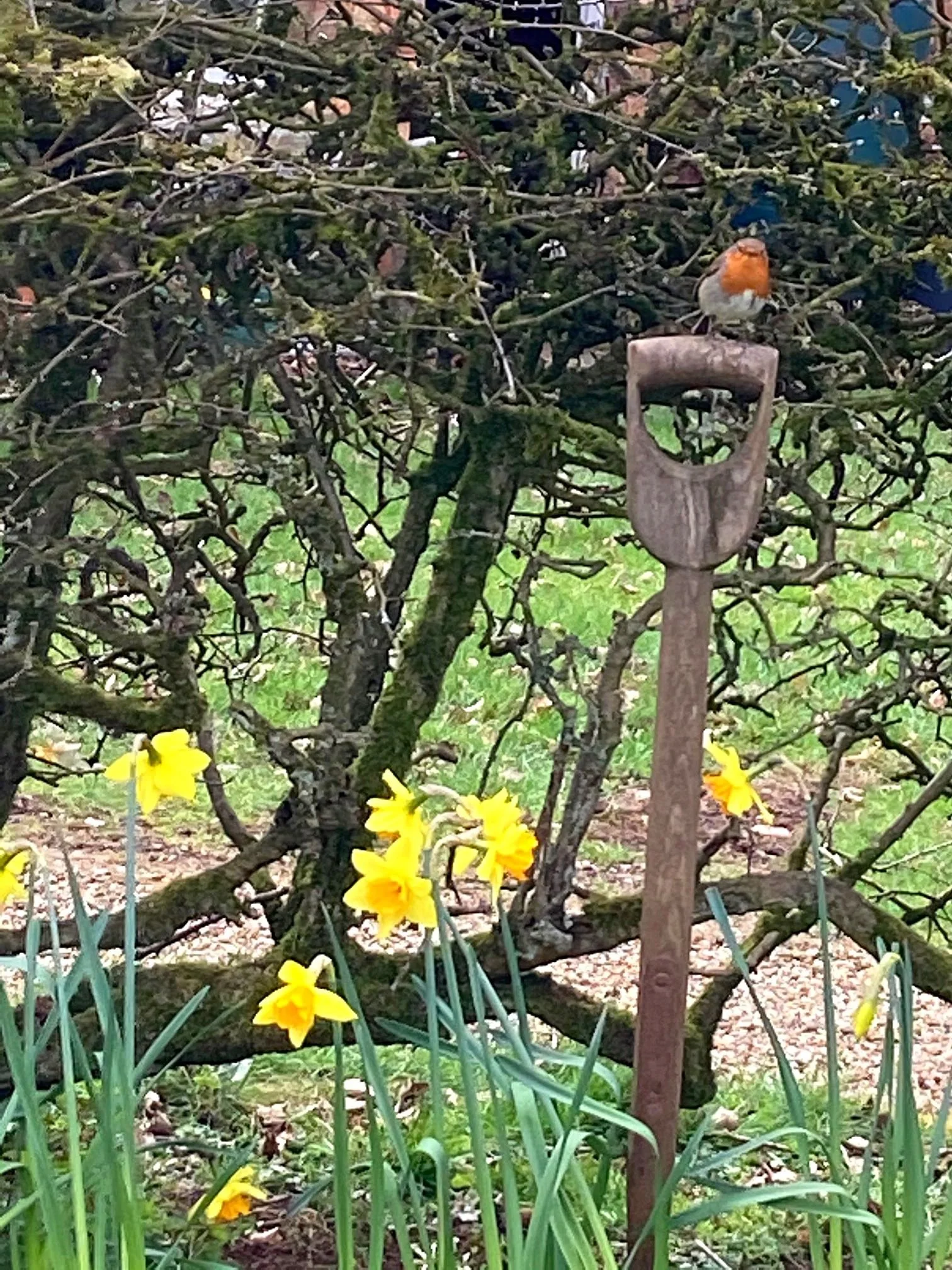 Upcoming Events — Wydale Hall