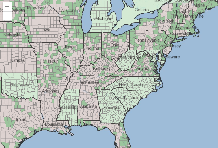 Schoenoplectus pungens (Three-square) — Wetland Plants Inc