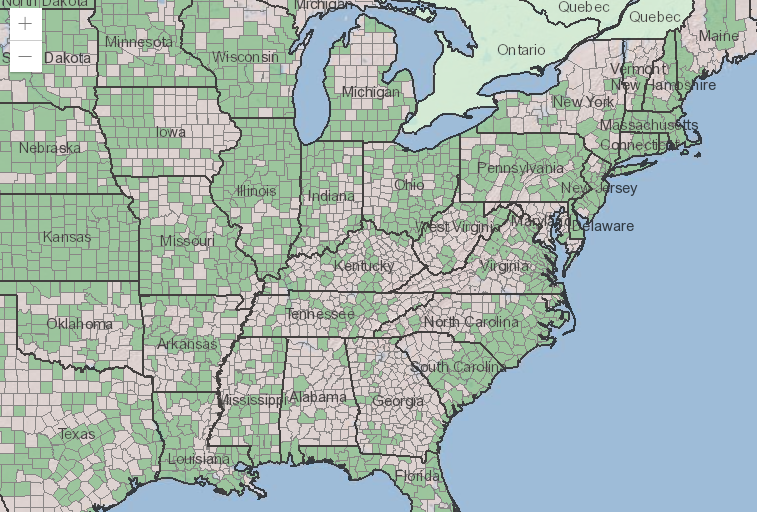 Panicum virgatum (Switchgrass) — Wetland Plants Inc