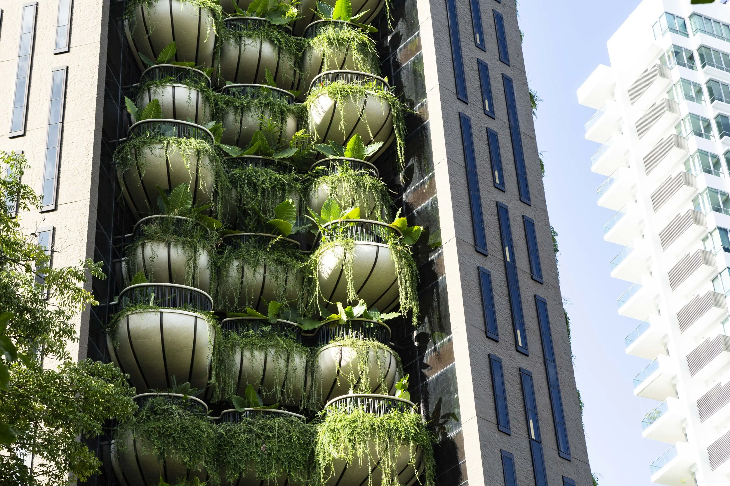 Eden by Heatherwick — Site Visits