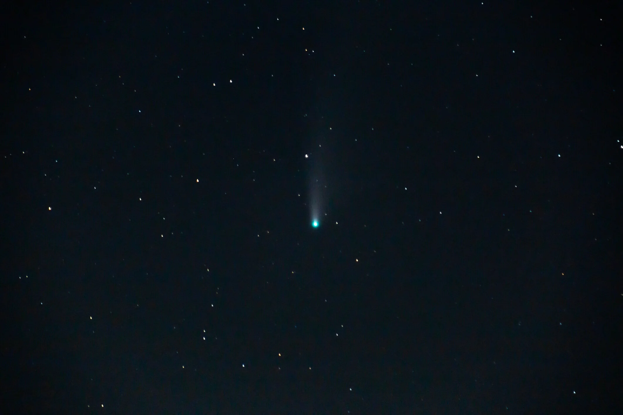 The NEOWISE Comet from The California Suburbs and Countryside — Site Visits