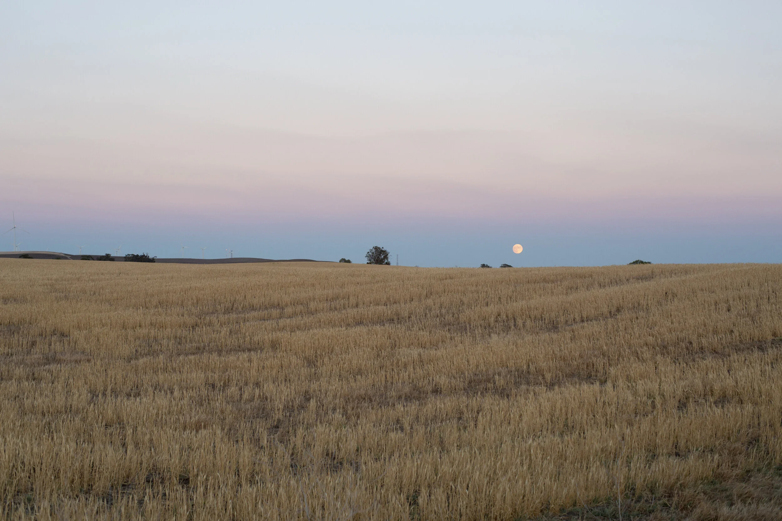 Visiting Collinsville, California — Site Visits