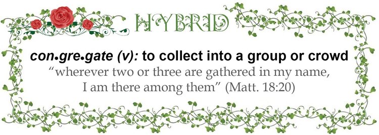 Current Covid Protocols — FCCOWT