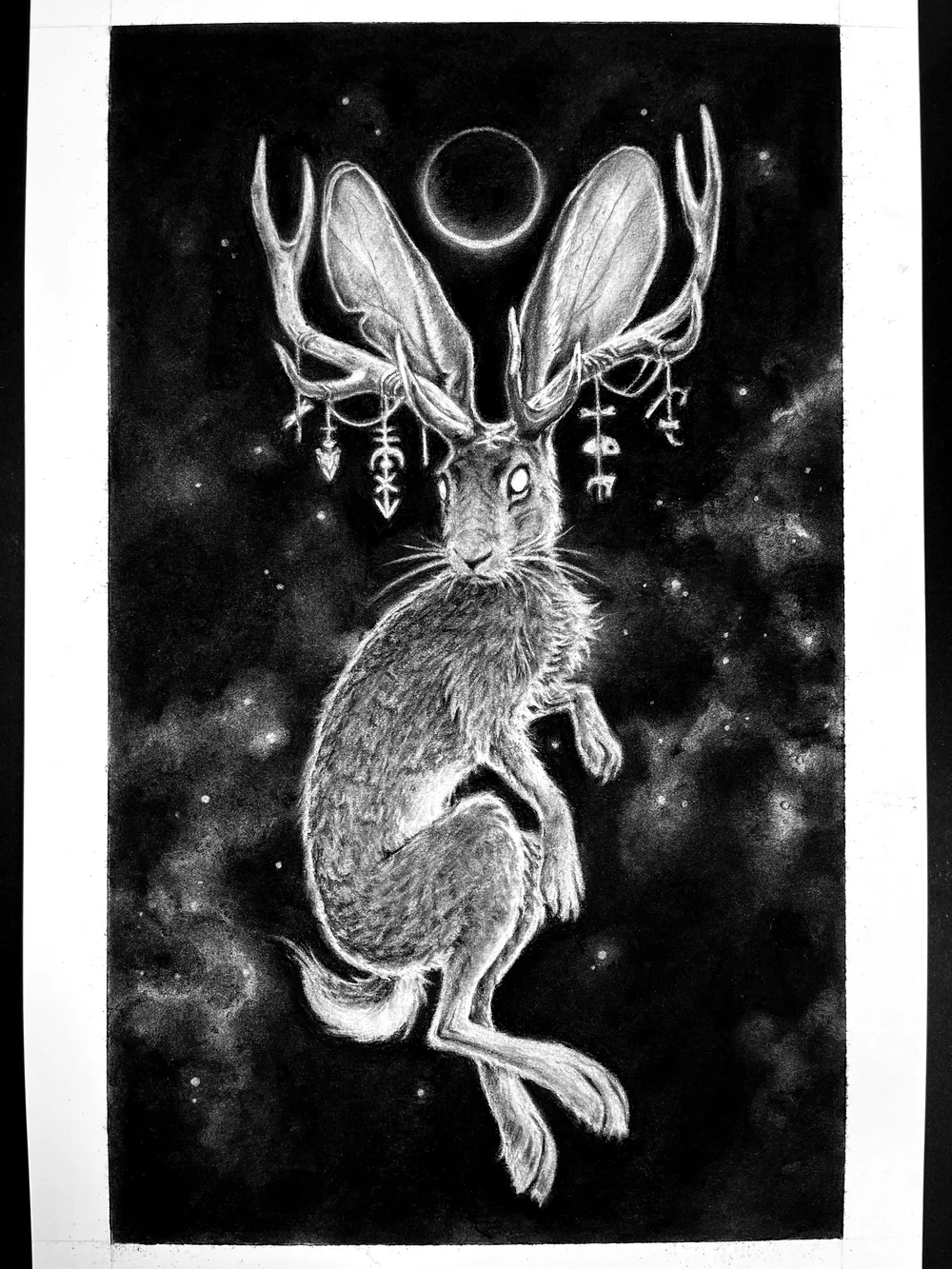 Jackalope