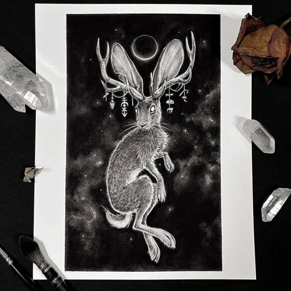 Jackalope Illustration