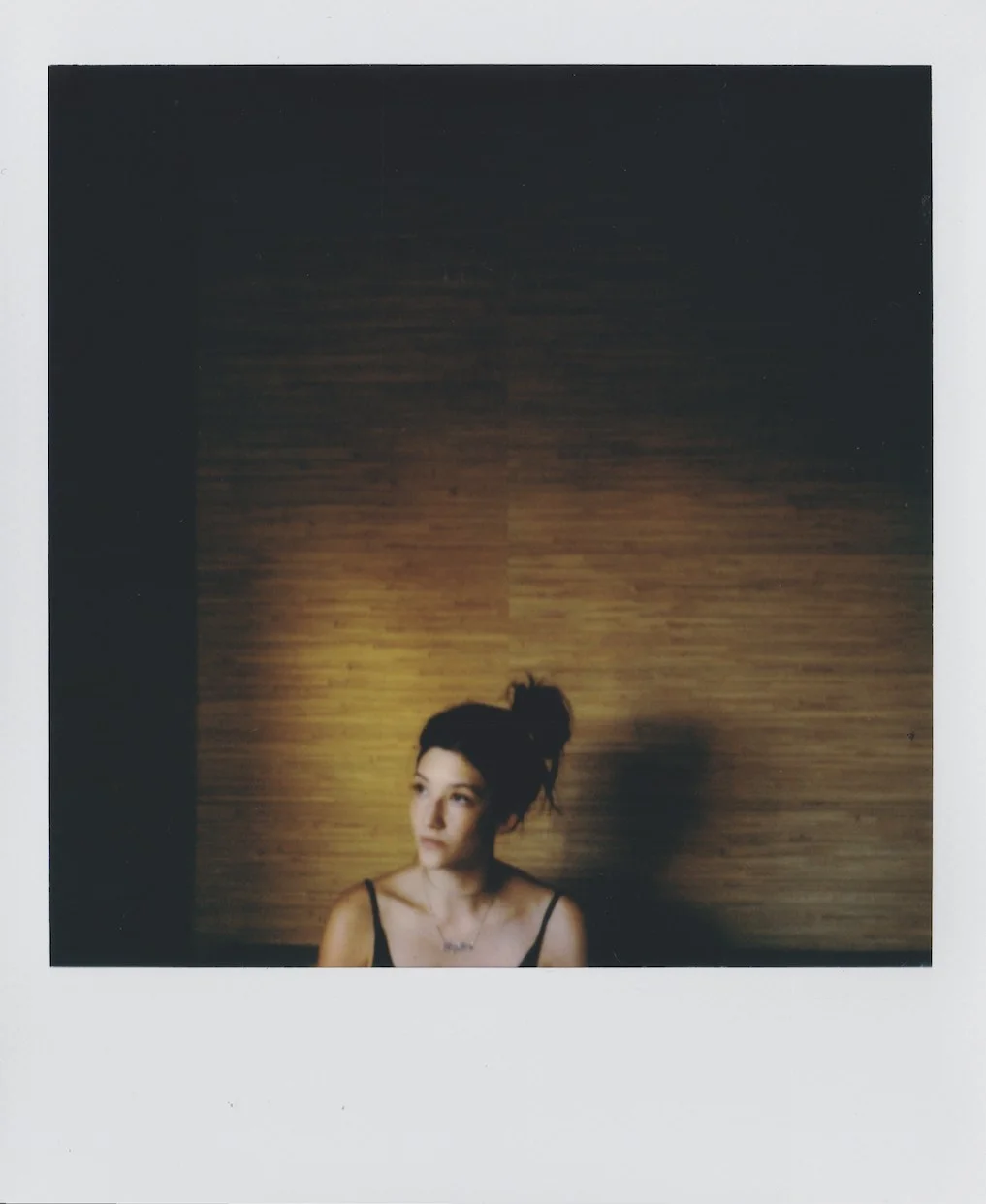 Polaroids — Lou Noble