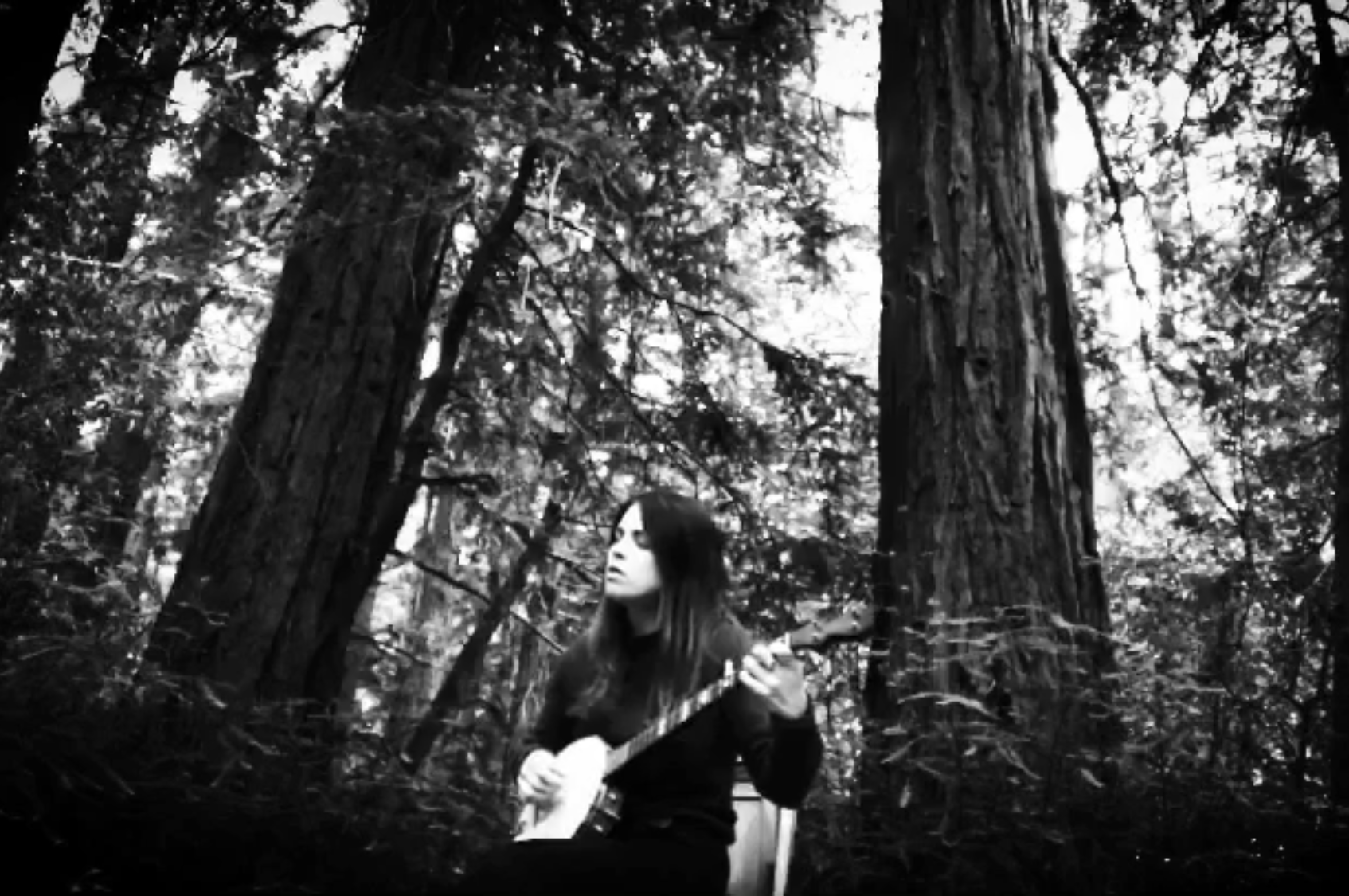 Noise — Sara Gallagher Artwork