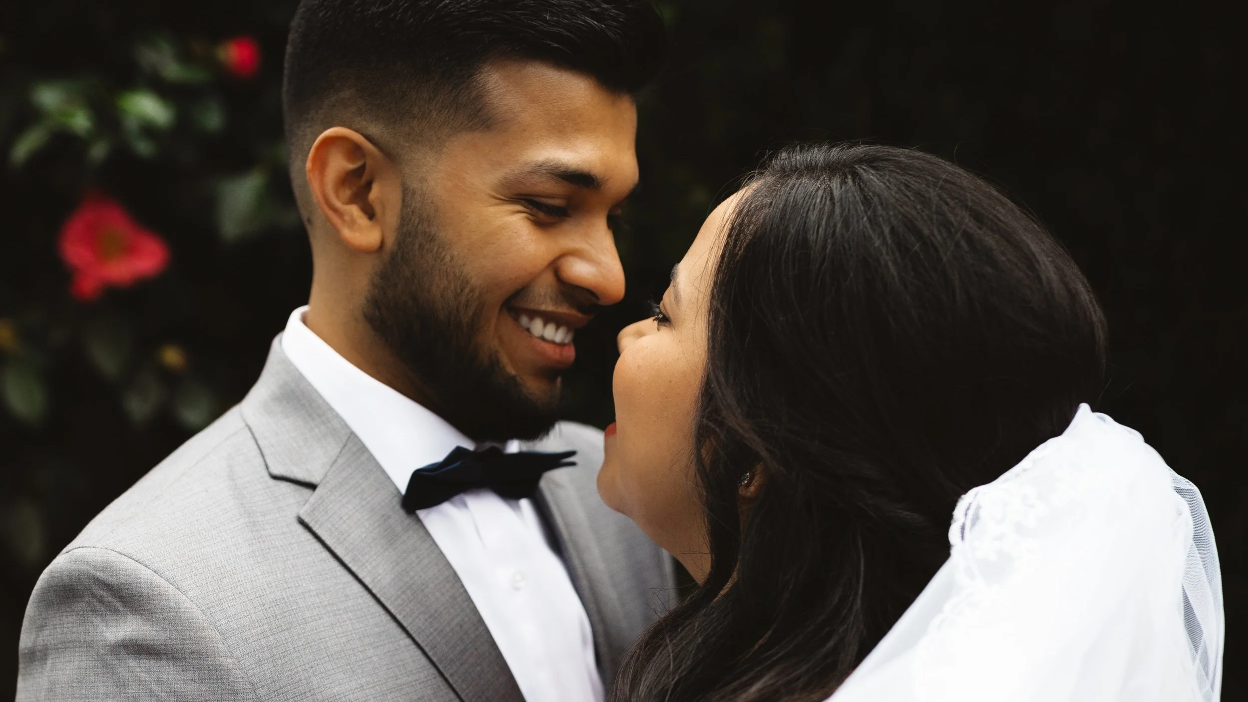 Wedding Packages — Disa Wold