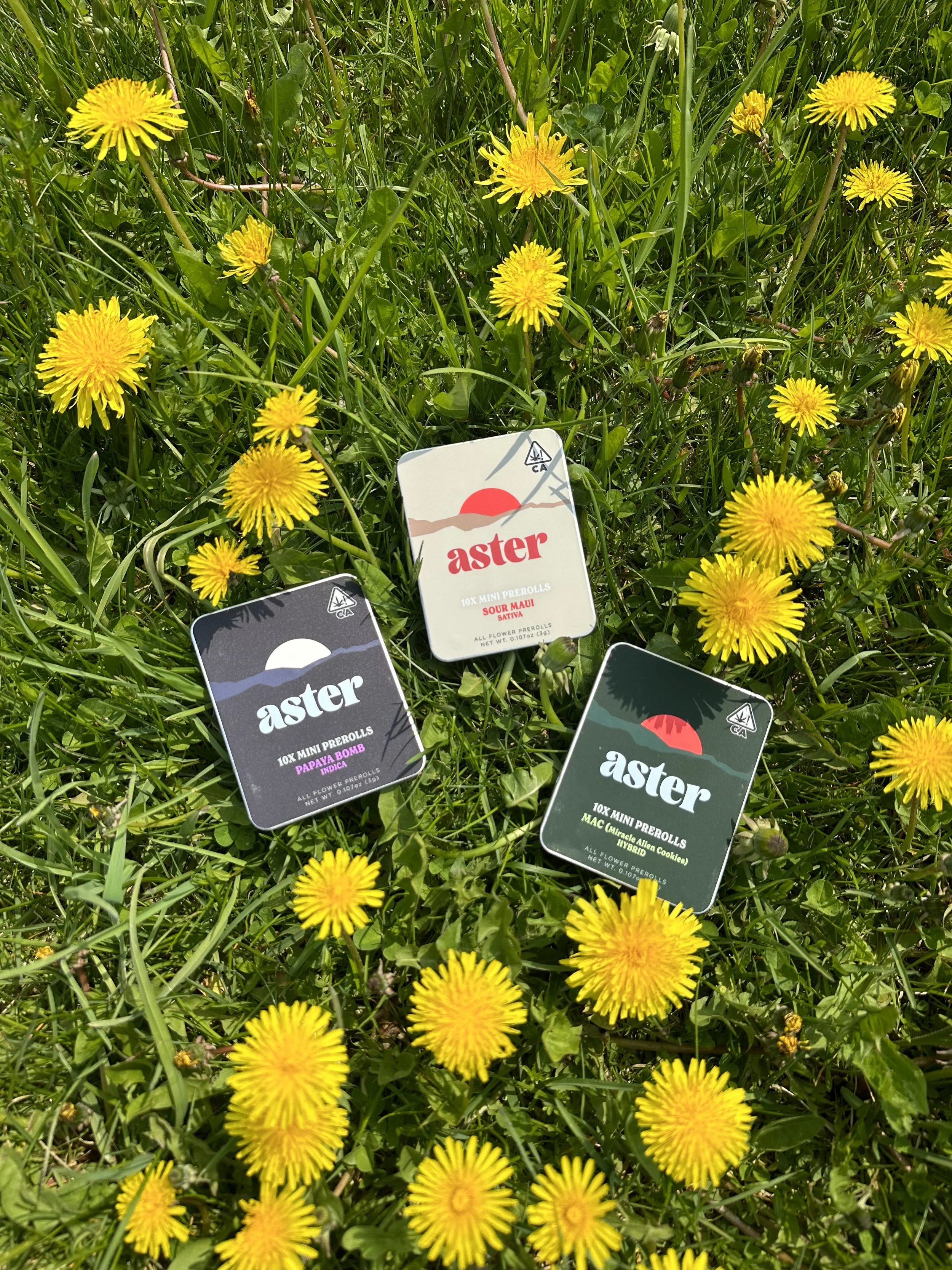 Aster Products — Aster Farms