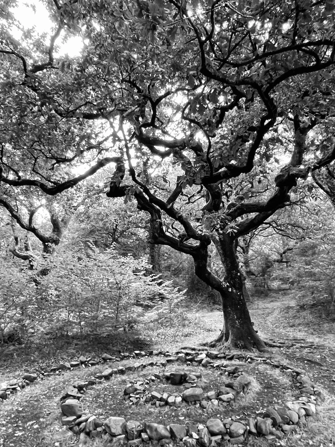 Magic and Myth on Dartmoor — Dartmoor's Daughter | Explore Dartmoor ...