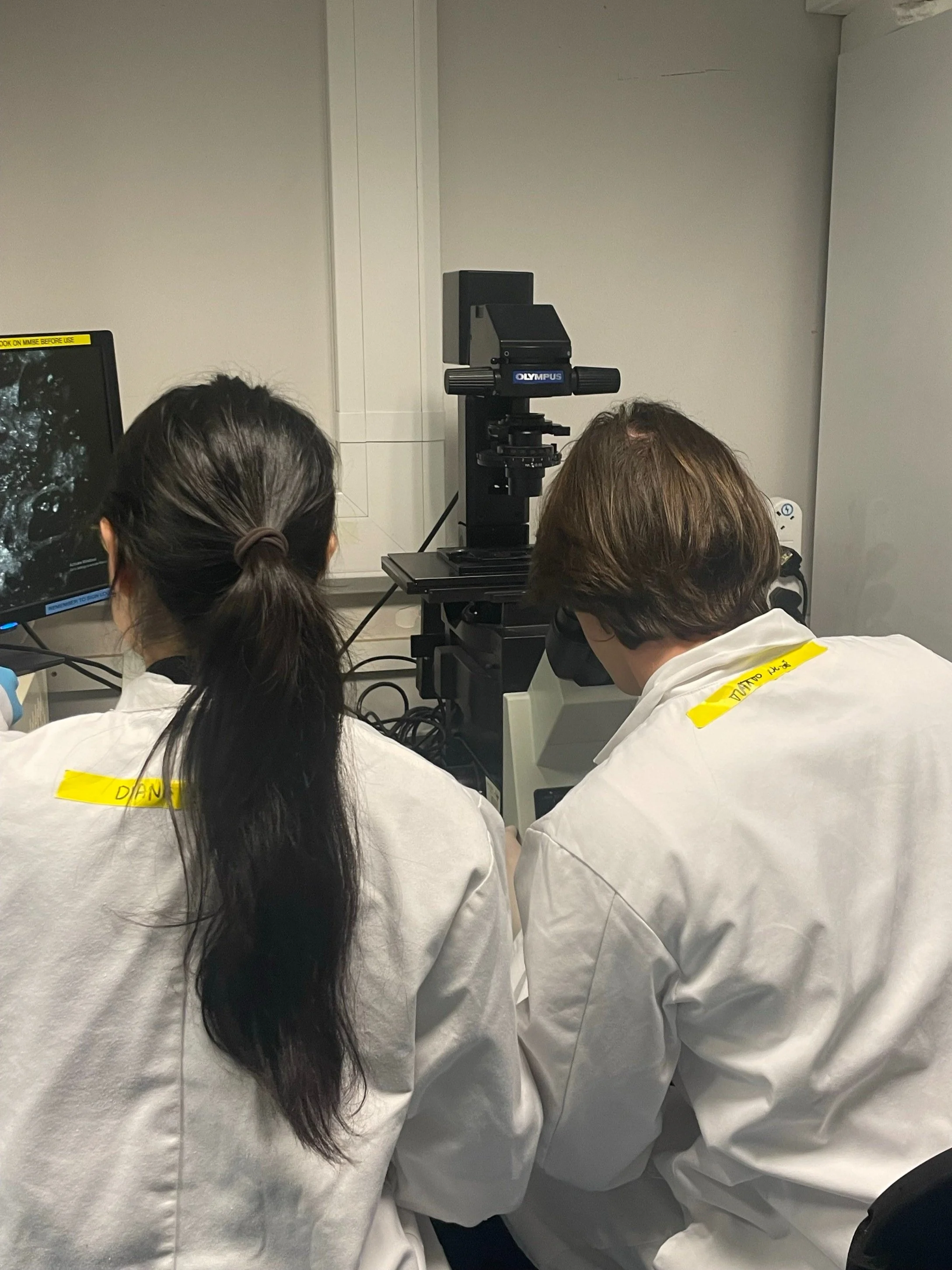 Brillouin Microscope — The Monaghan Lab