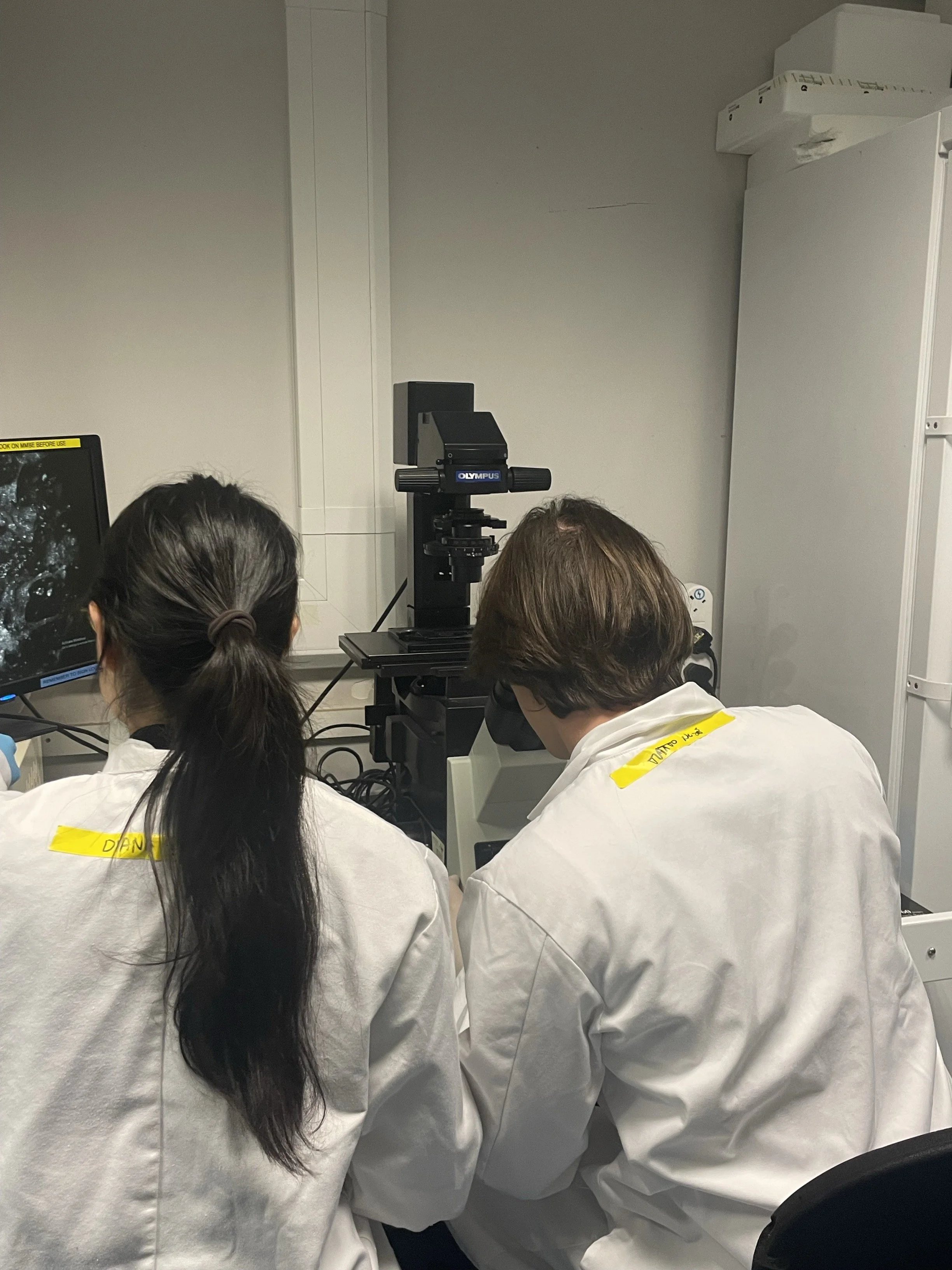 BrillFlim — The Monaghan Lab