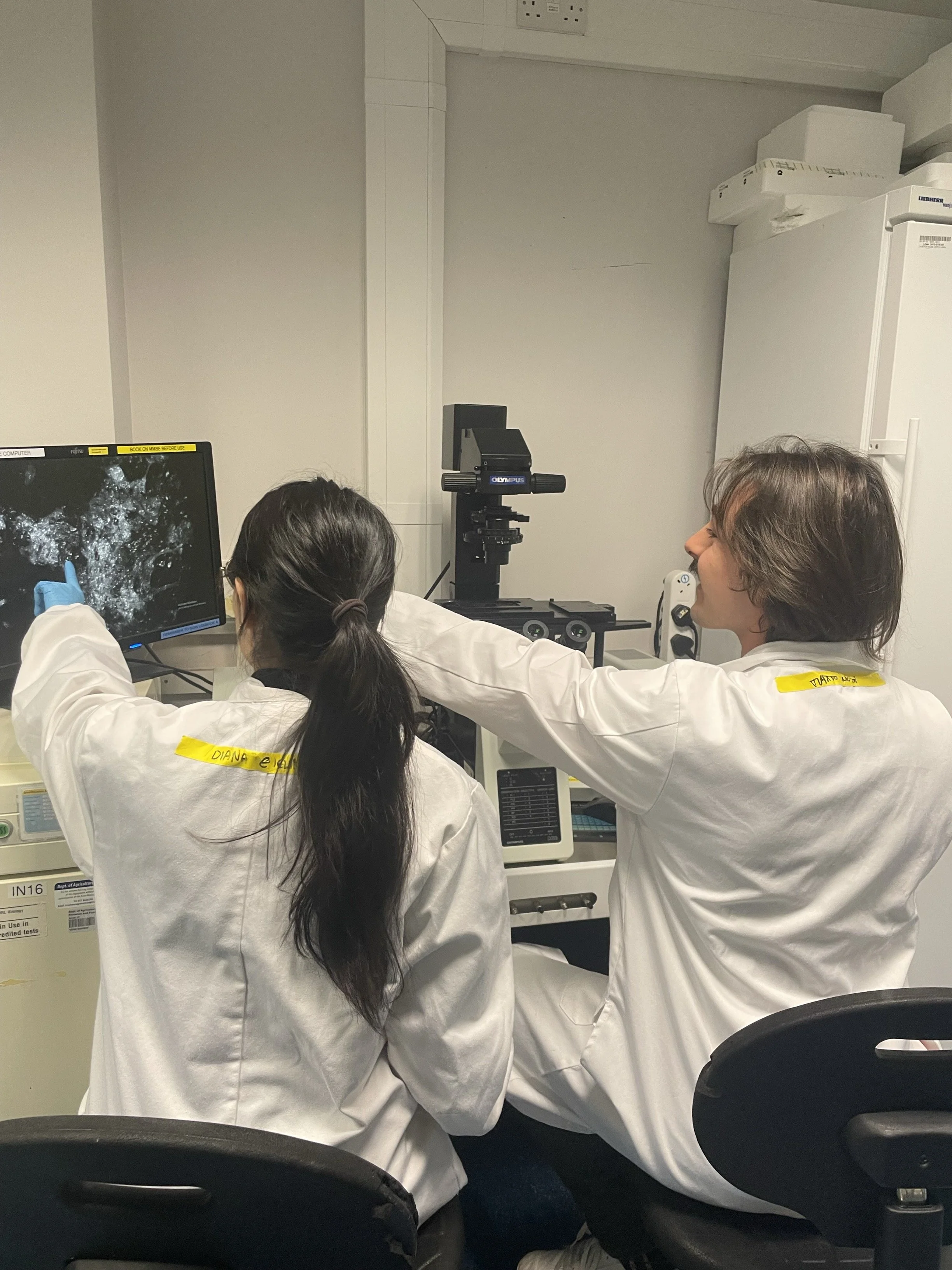 Brillouin Microscope — The Monaghan Lab