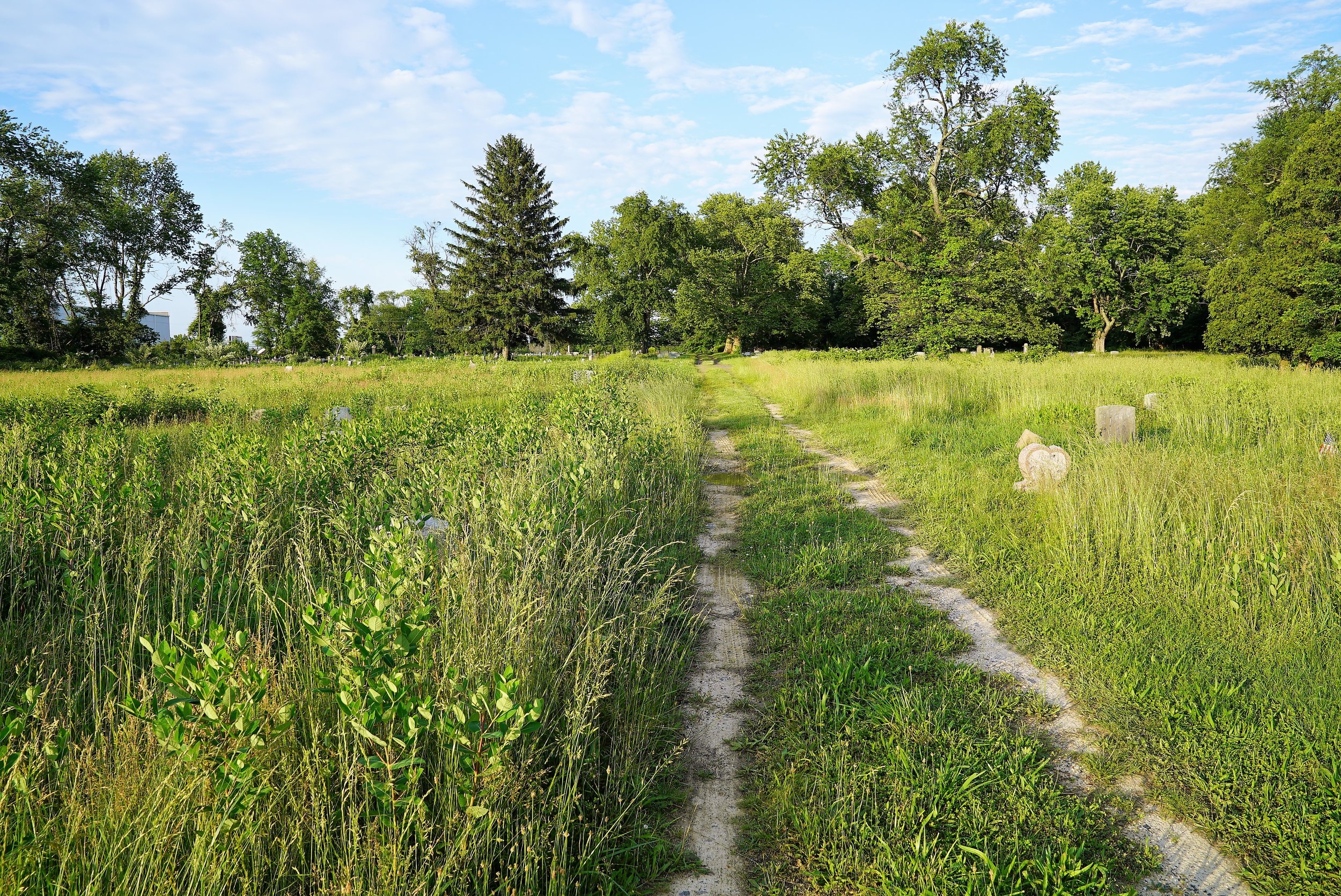 Green Lawn Cemetery - Chester Township, Pennsylvania — Local Cemeteries