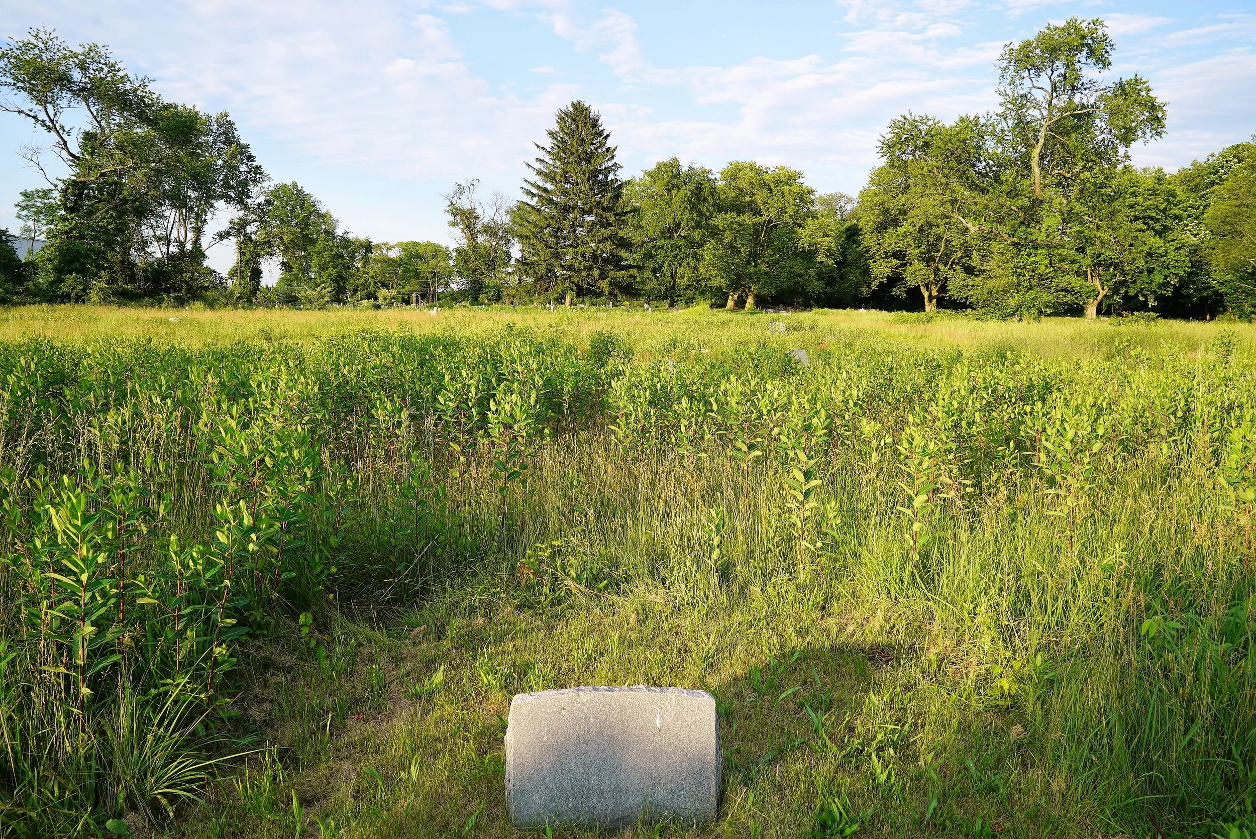 Green Lawn Cemetery - Chester Township, Pennsylvania — Local Cemeteries