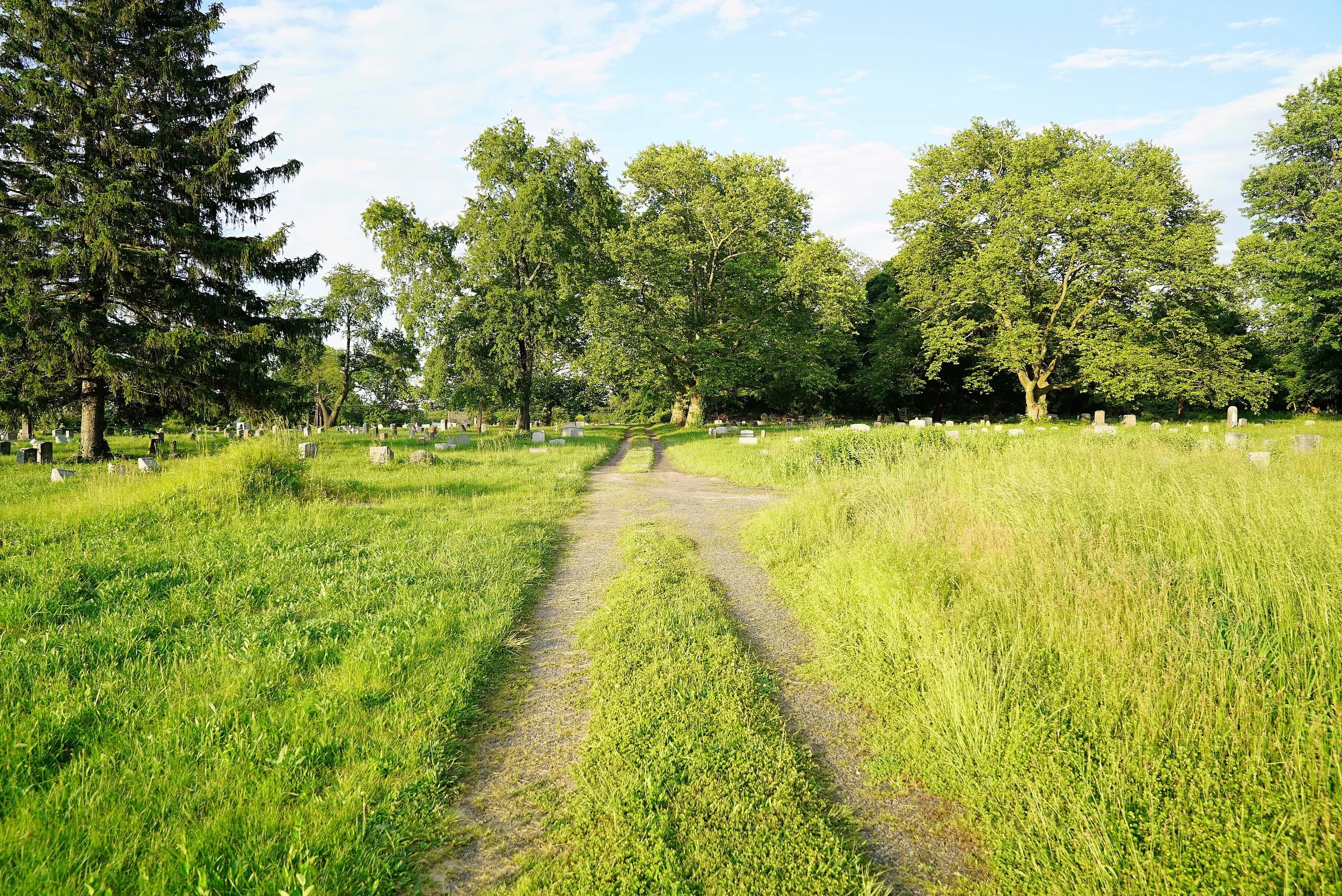 Green Lawn Cemetery - Chester Township, Pennsylvania — Local Cemeteries