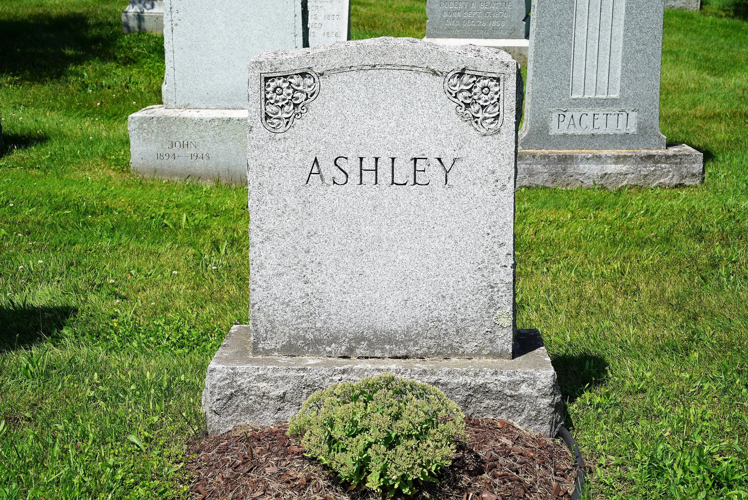 Hope Cemetery headstone designs, Barre, Vermont. Part 10: — Local ...