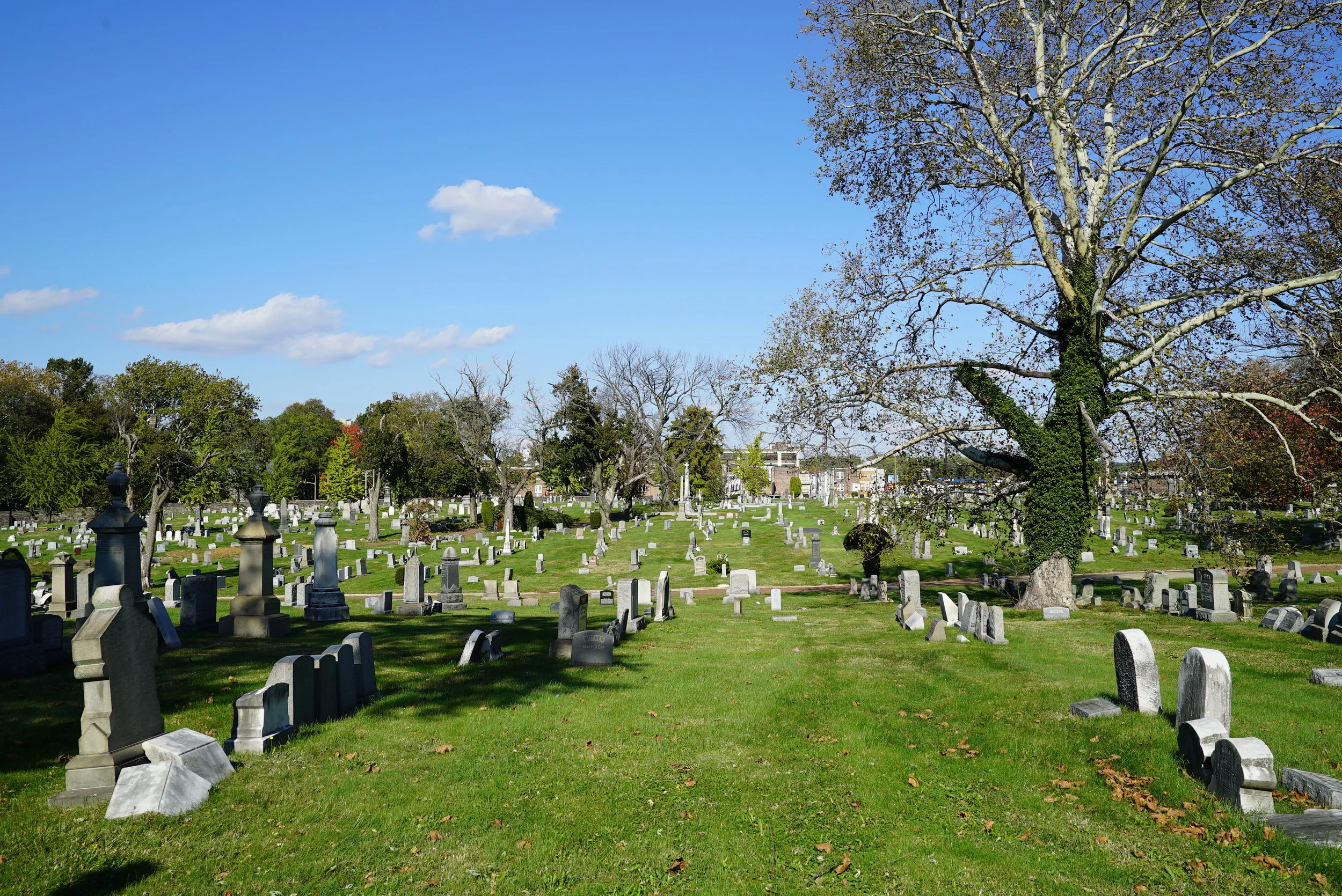 Mount Peace Cemetery - Philadelphia, Pennsylvania — Local Cemeteries