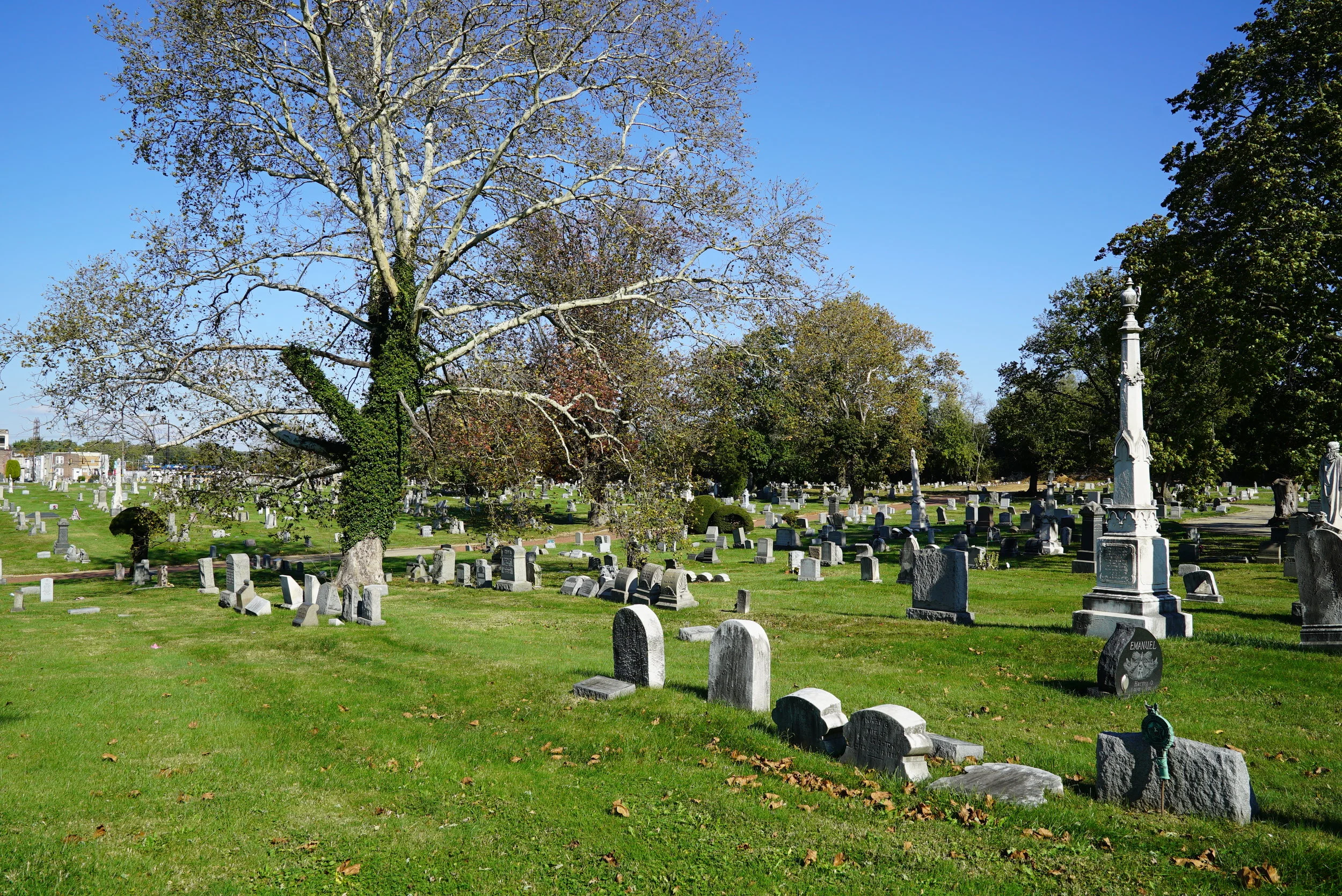 Mount Peace Cemetery - Philadelphia, Pennsylvania — Local Cemeteries
