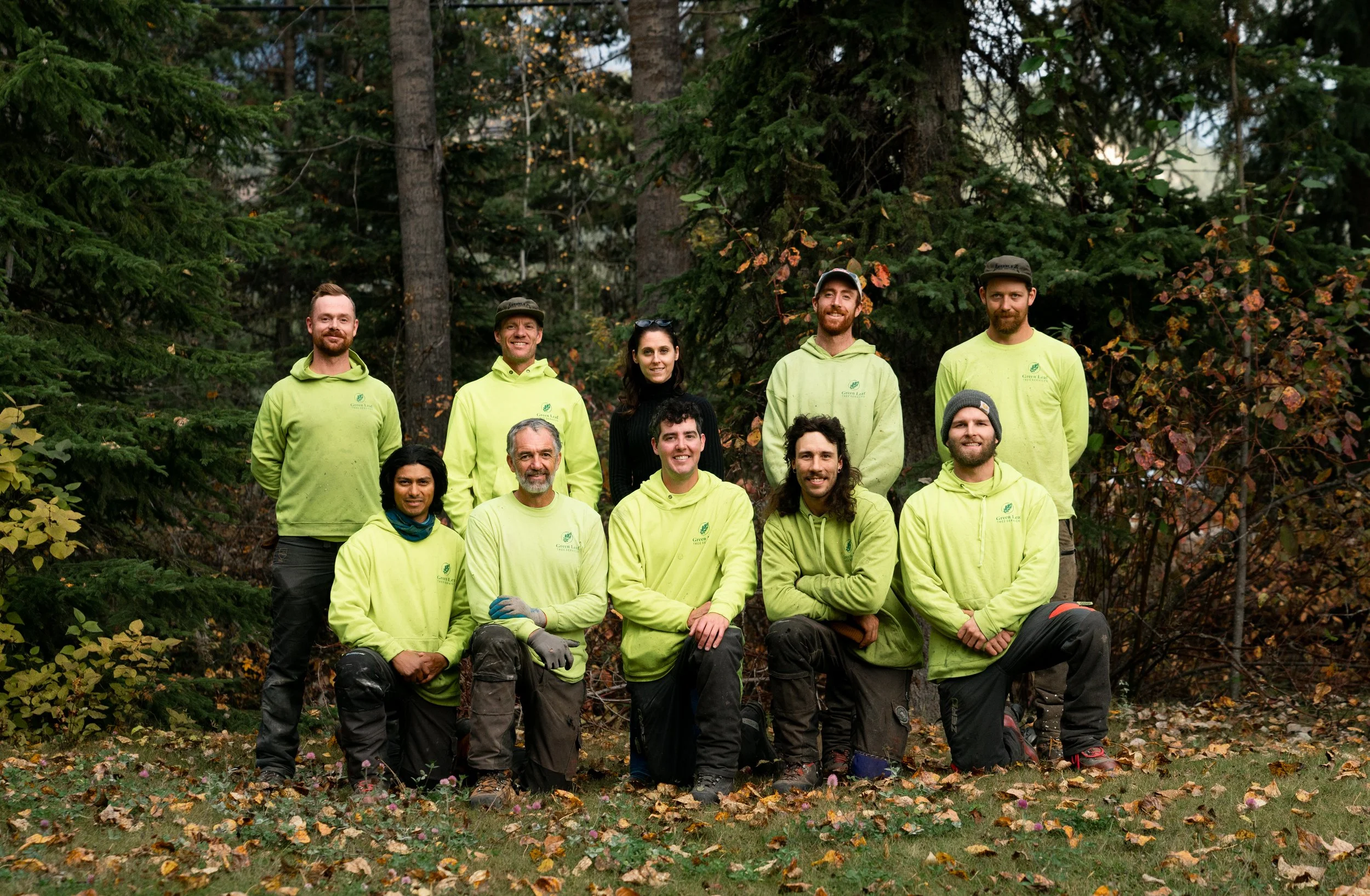 About — Green Leaf Tree Services Ltd