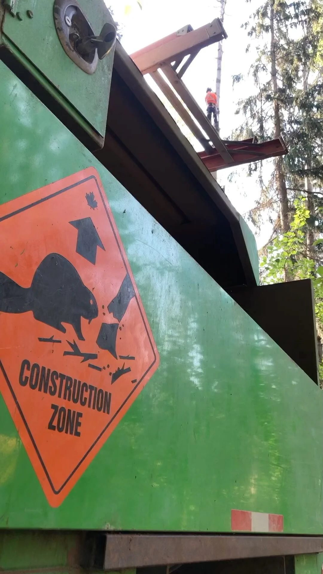 Certified Tree Risk Assessments — Green Leaf Tree Services Ltd